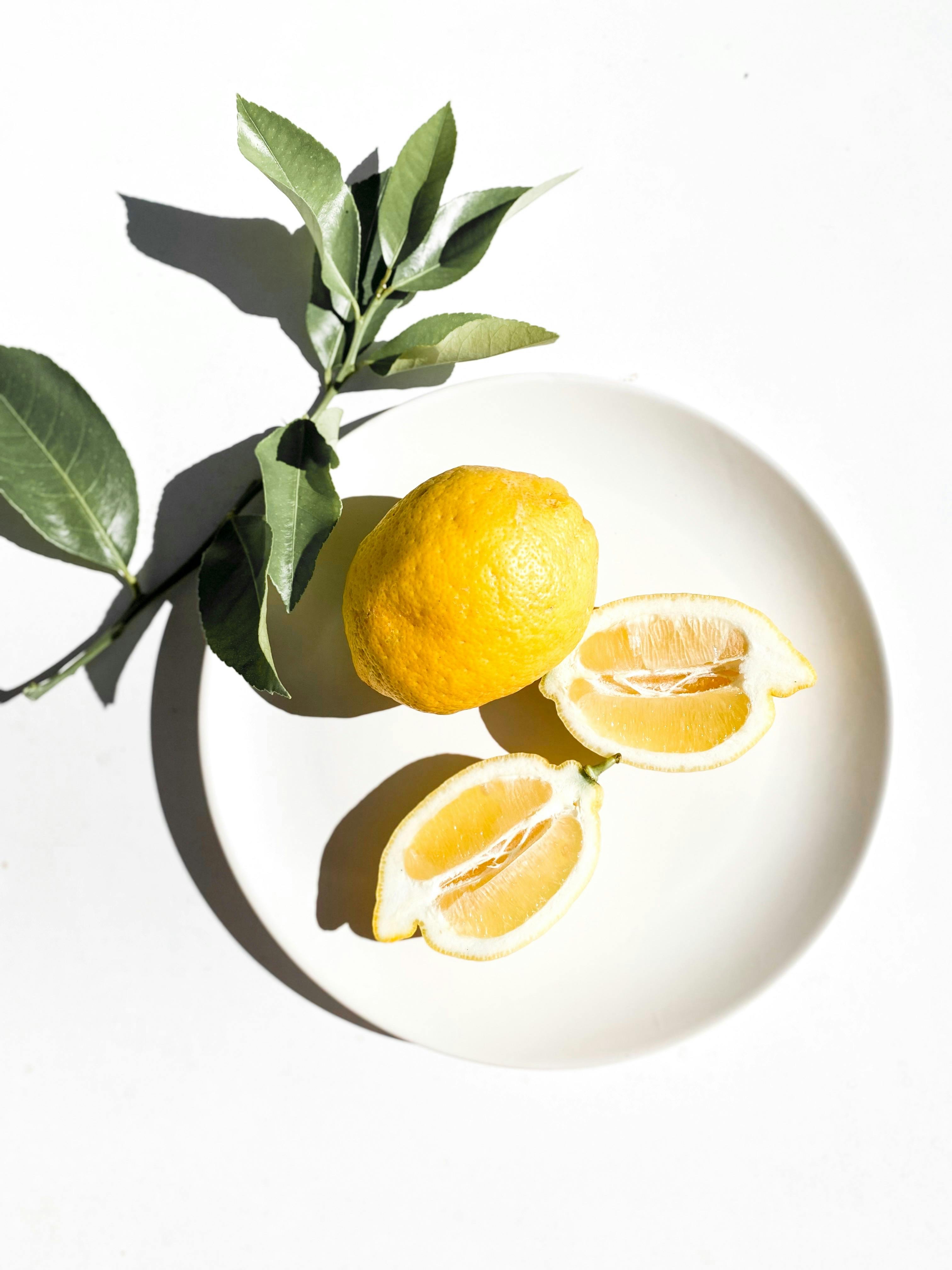 Lemon Leaves Photos, Download The BEST Free Lemon Leaves Stock Photos ...