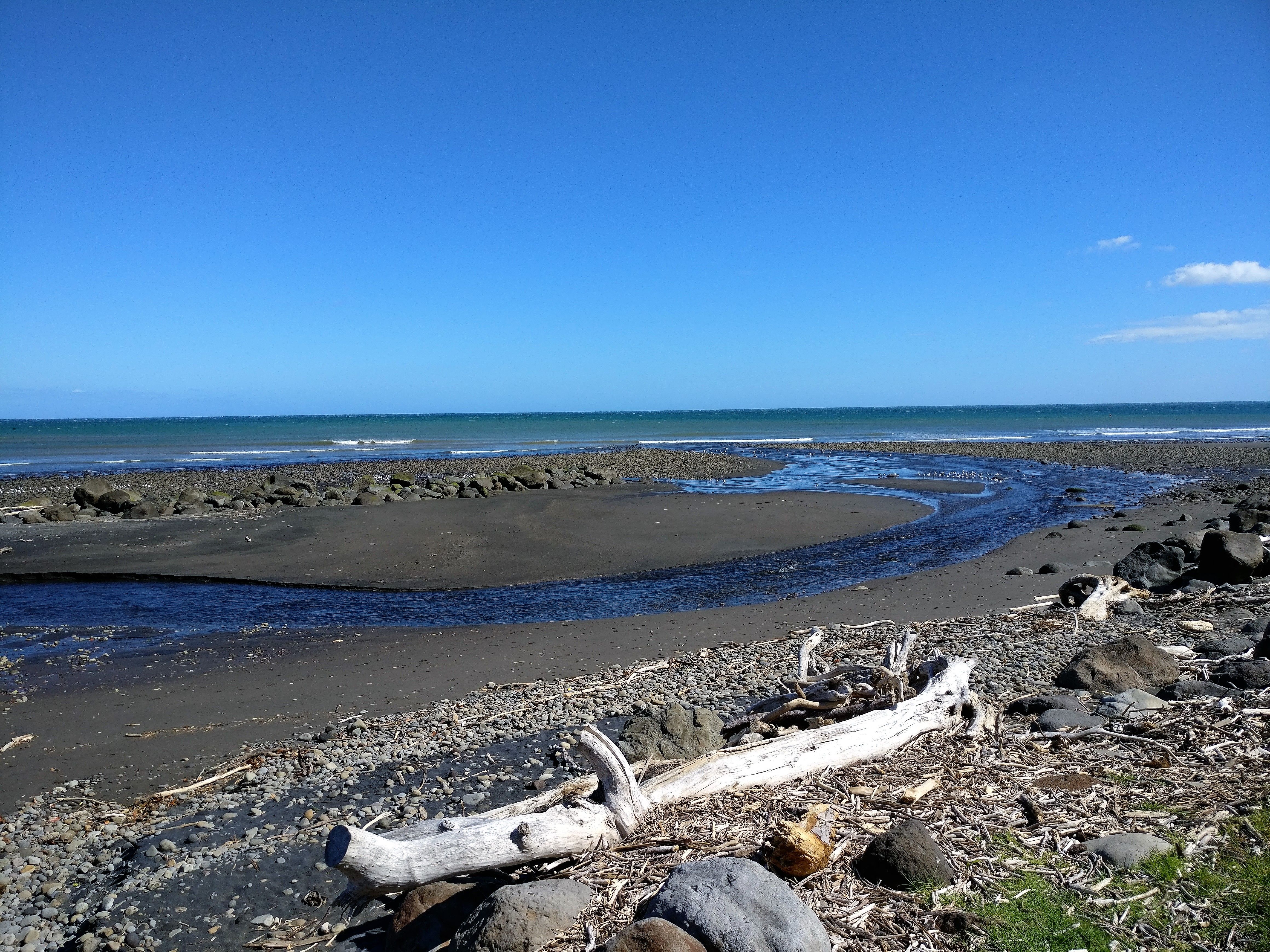 Free stock photo of beach, natue, sea
