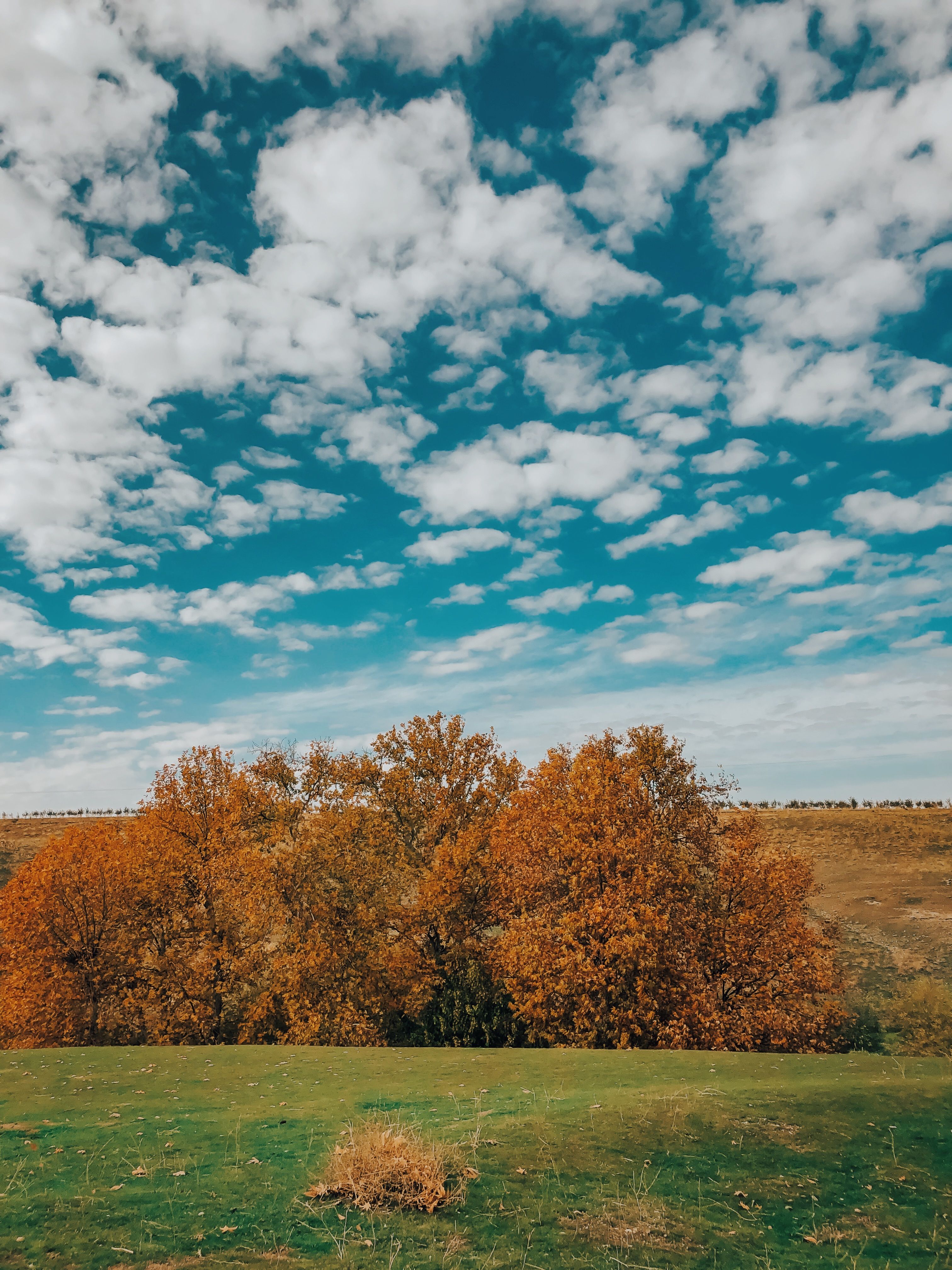 An Agricultural Land Under A Cloudy Sky · Free Stock Photo