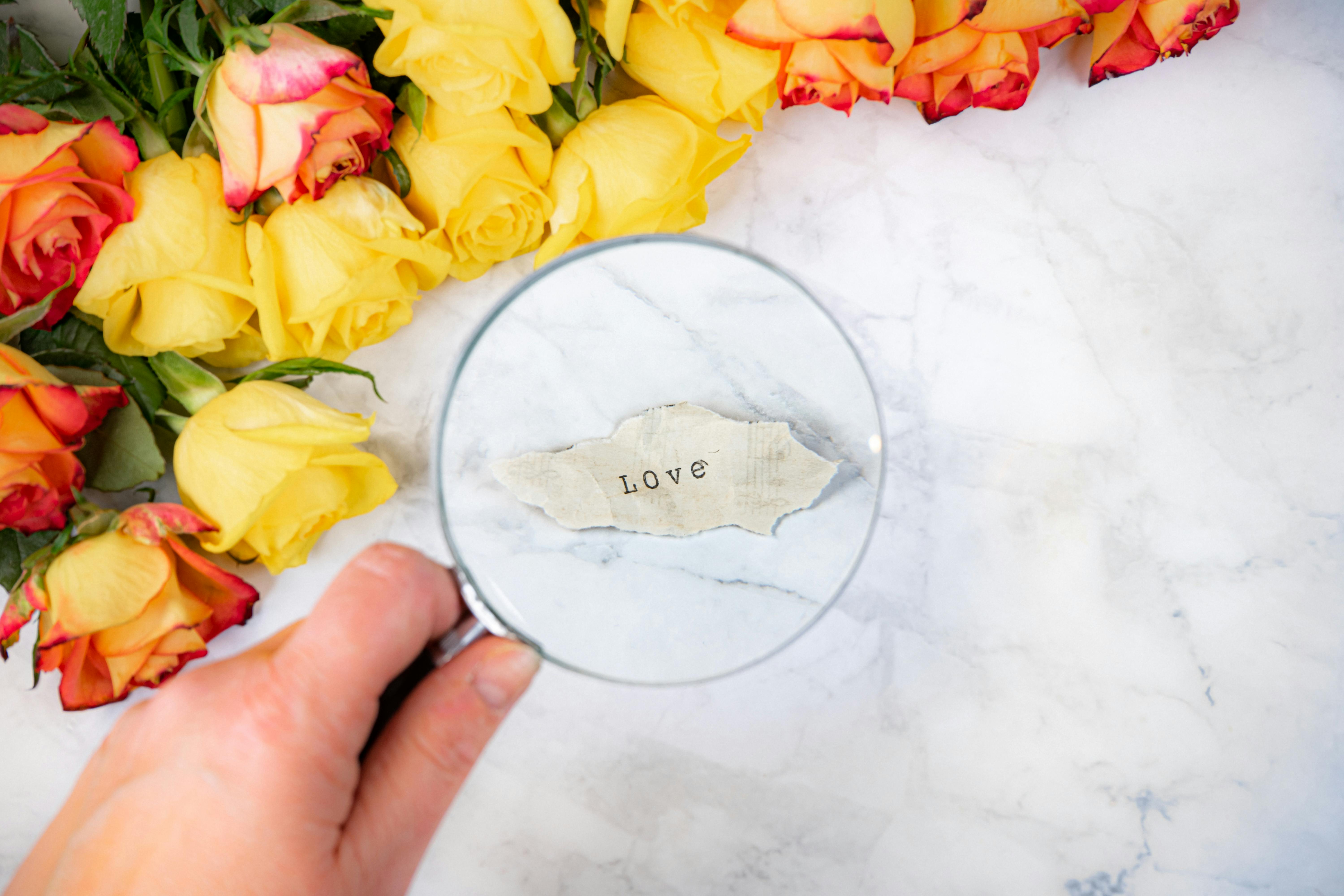 Magnifying Glass Over a Piece of Paper · Free Stock Photo
