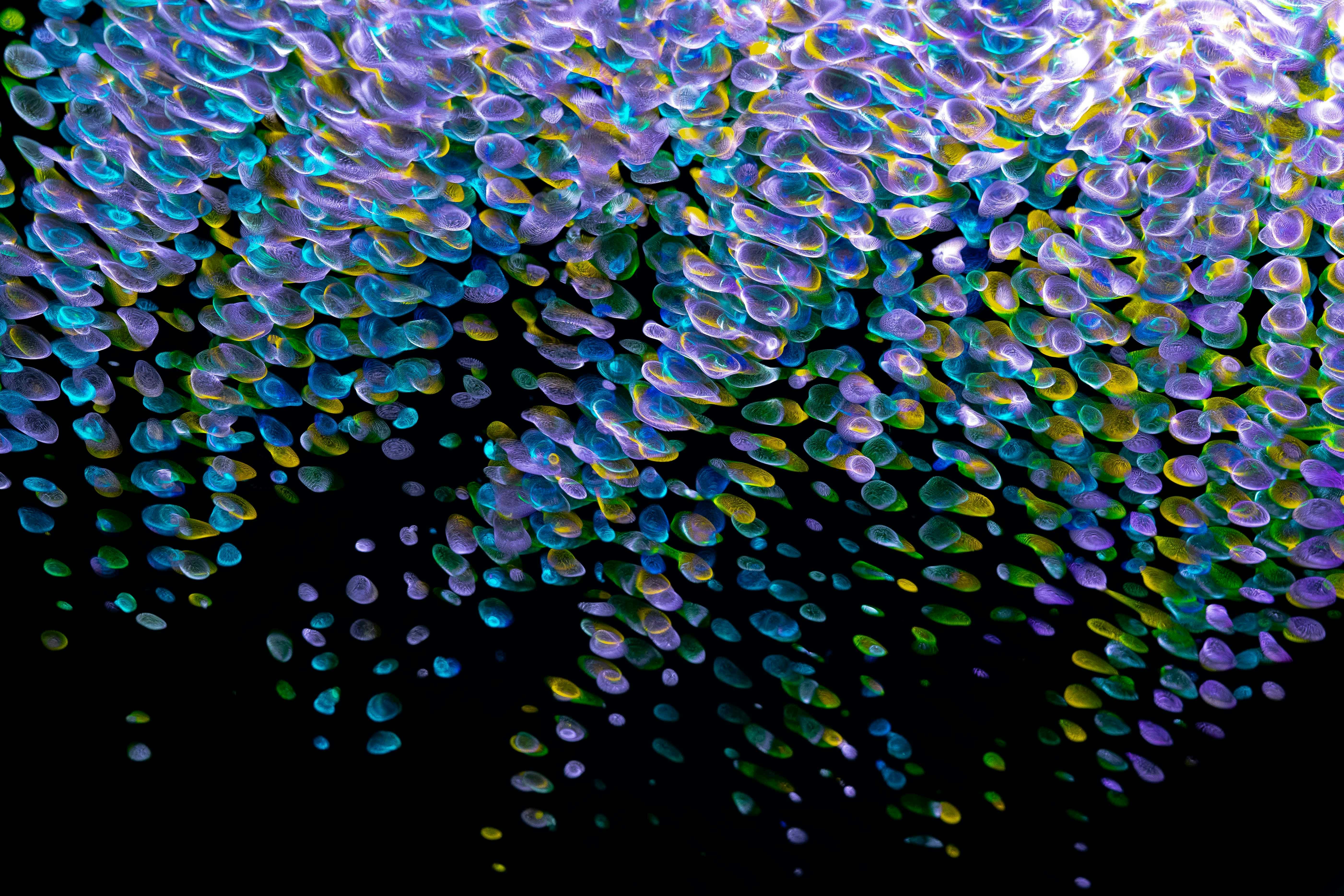 Detailed Background Photos, Download The BEST Free Detailed Background ...