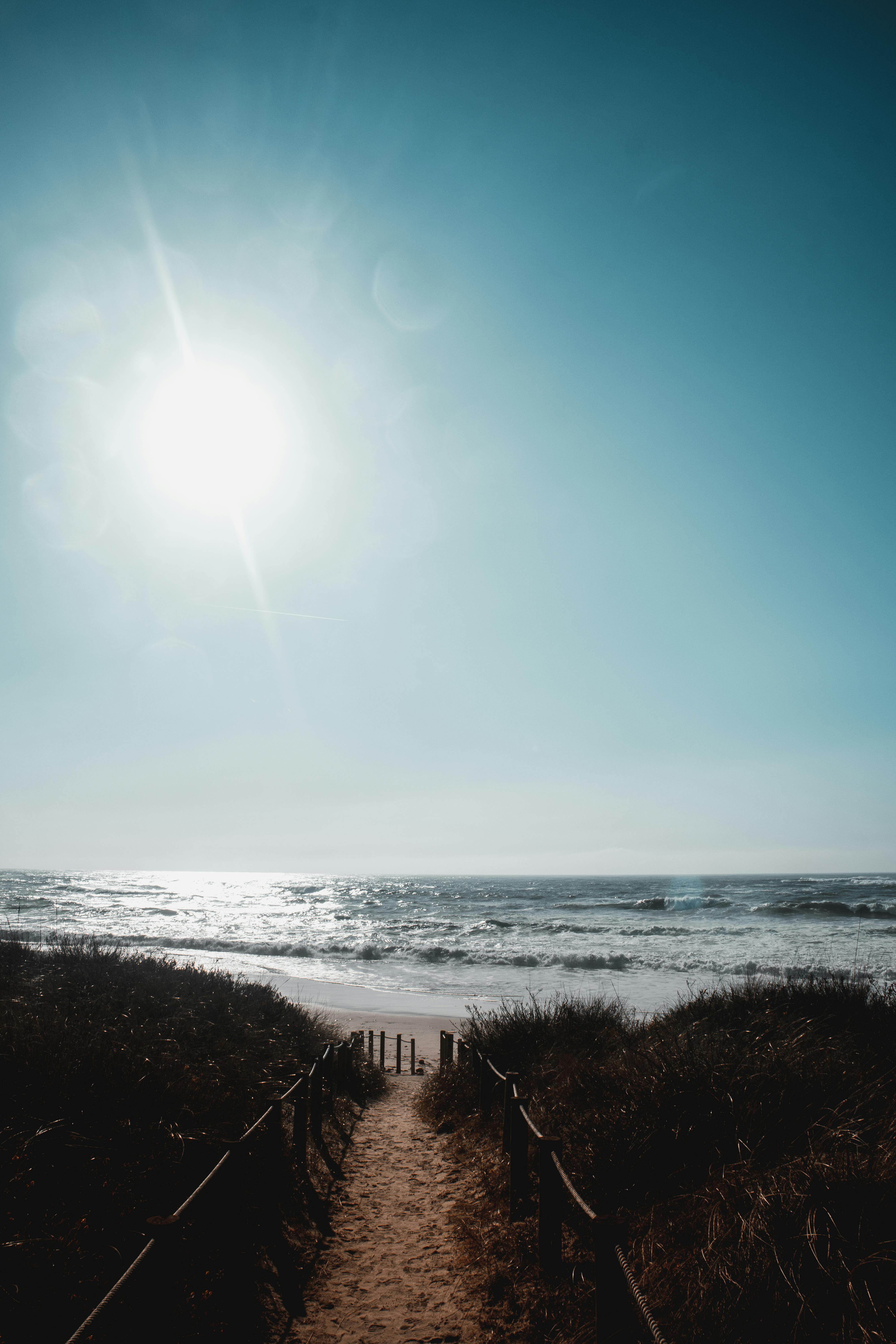 Photo of the Beach during a Sunny Day · Free Stock Photo
