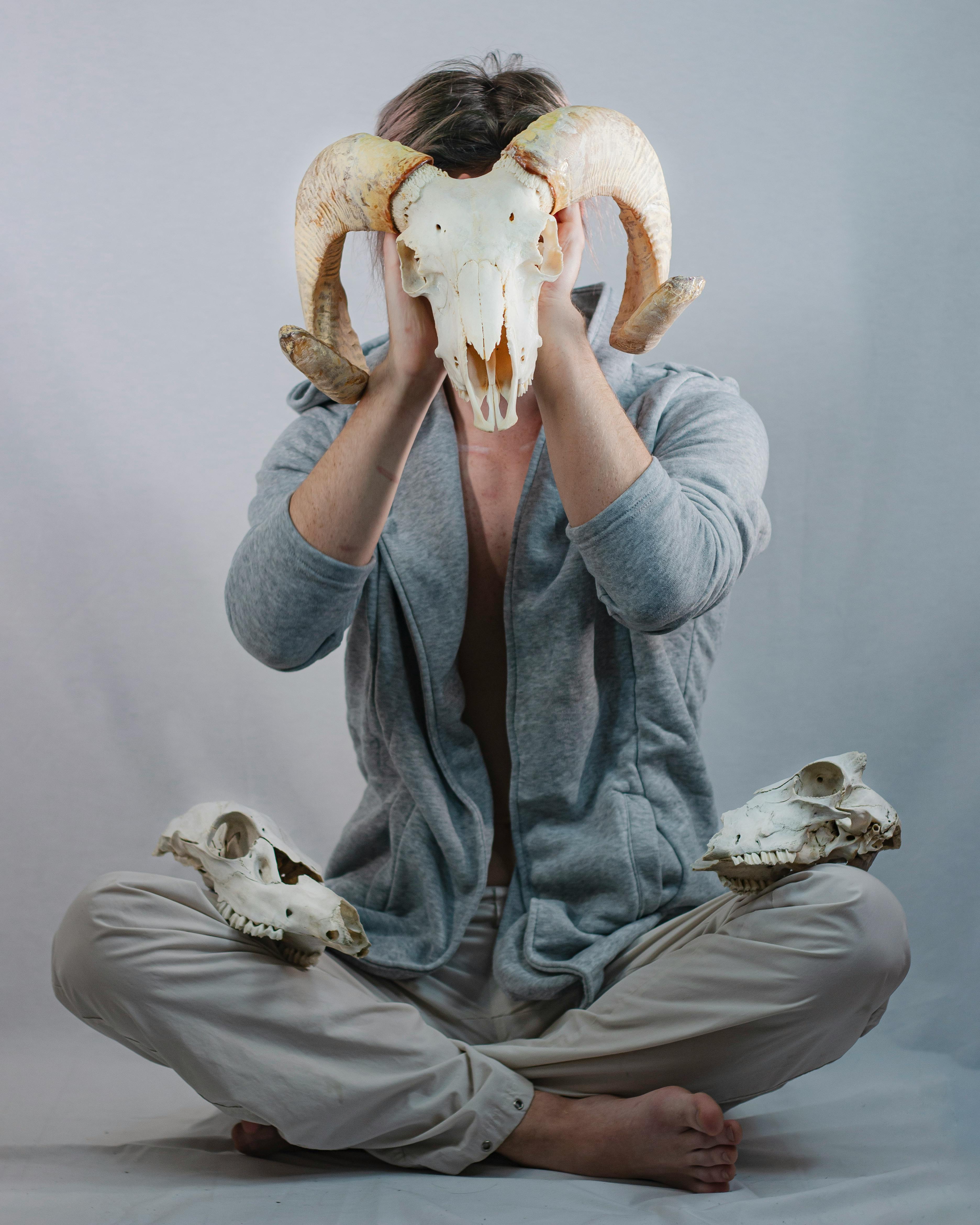 A Person Sitting with Animal Skulls · Free Stock Photo