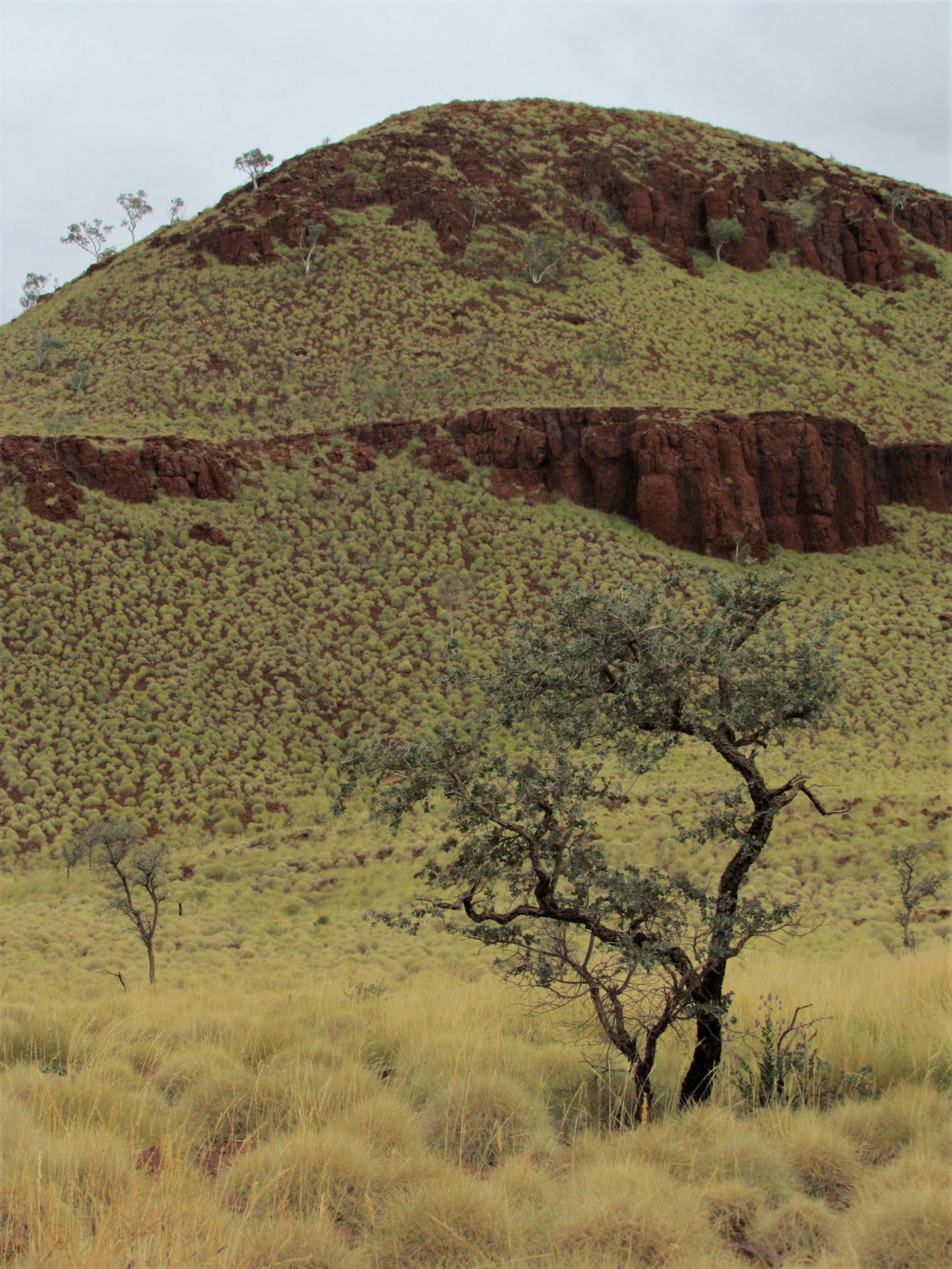 Pilbara, WA 6 Photos & Videos Collected by Lyn Fishwick