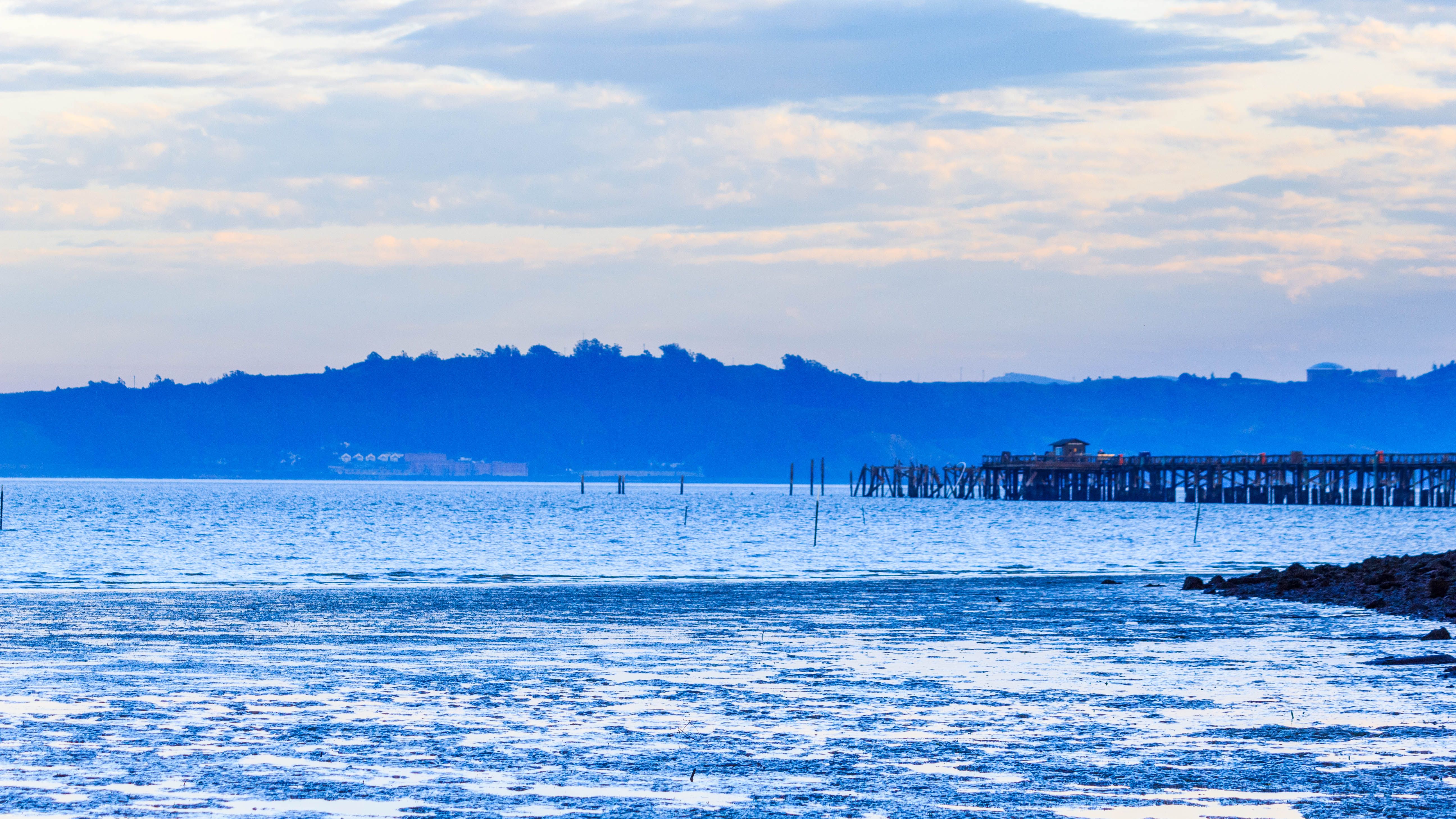 Dark Green Sea Water Wooden Pier · Free Stock Photo