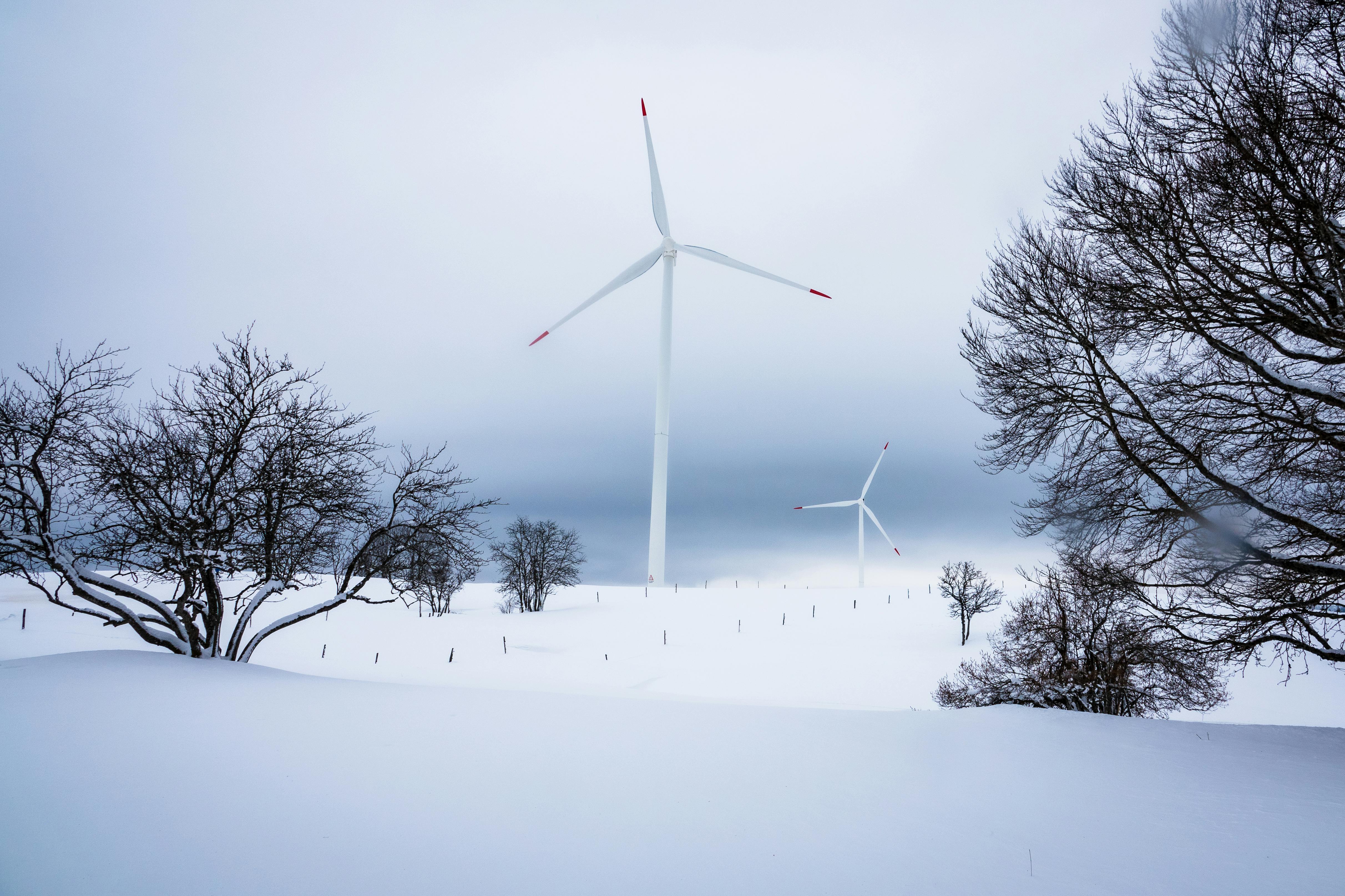 White Wind Turbines and Bare Trees on Snow Covered Ground · Free Stock ...