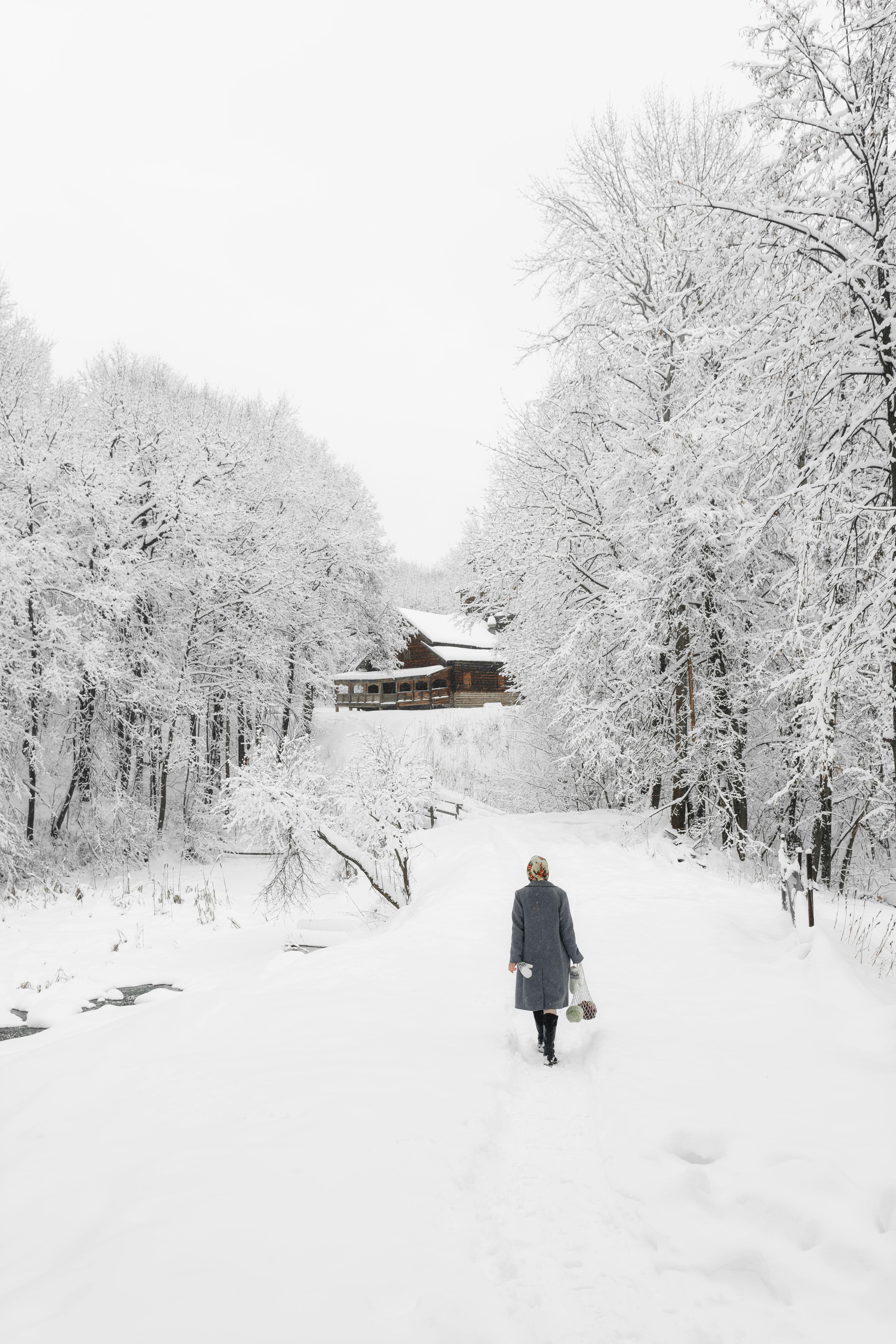 100,000+ Best Victorian House In Snow Photos · 100% Free Download ...