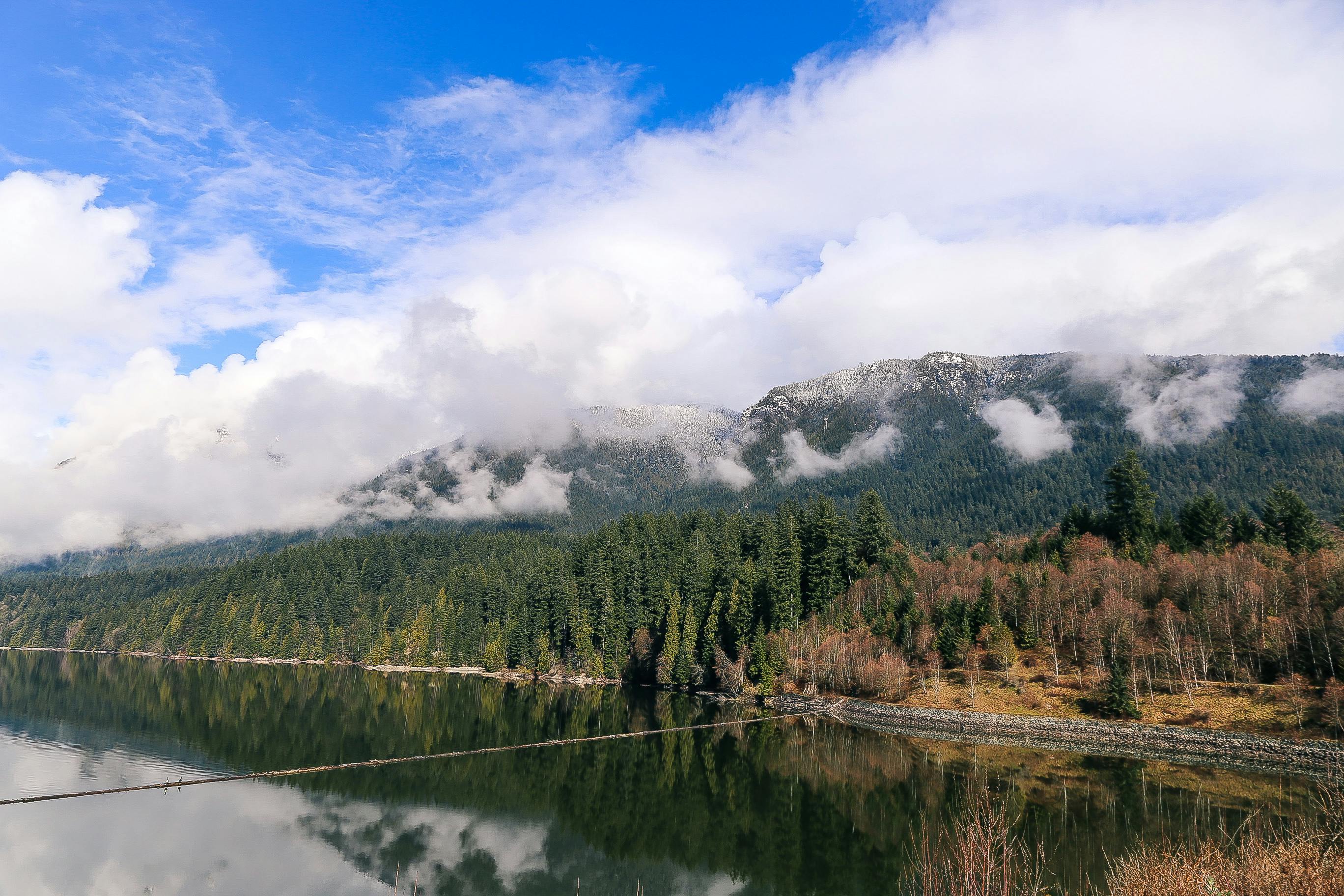 Trees Reflection over the Lake Surface · Free Stock Photo