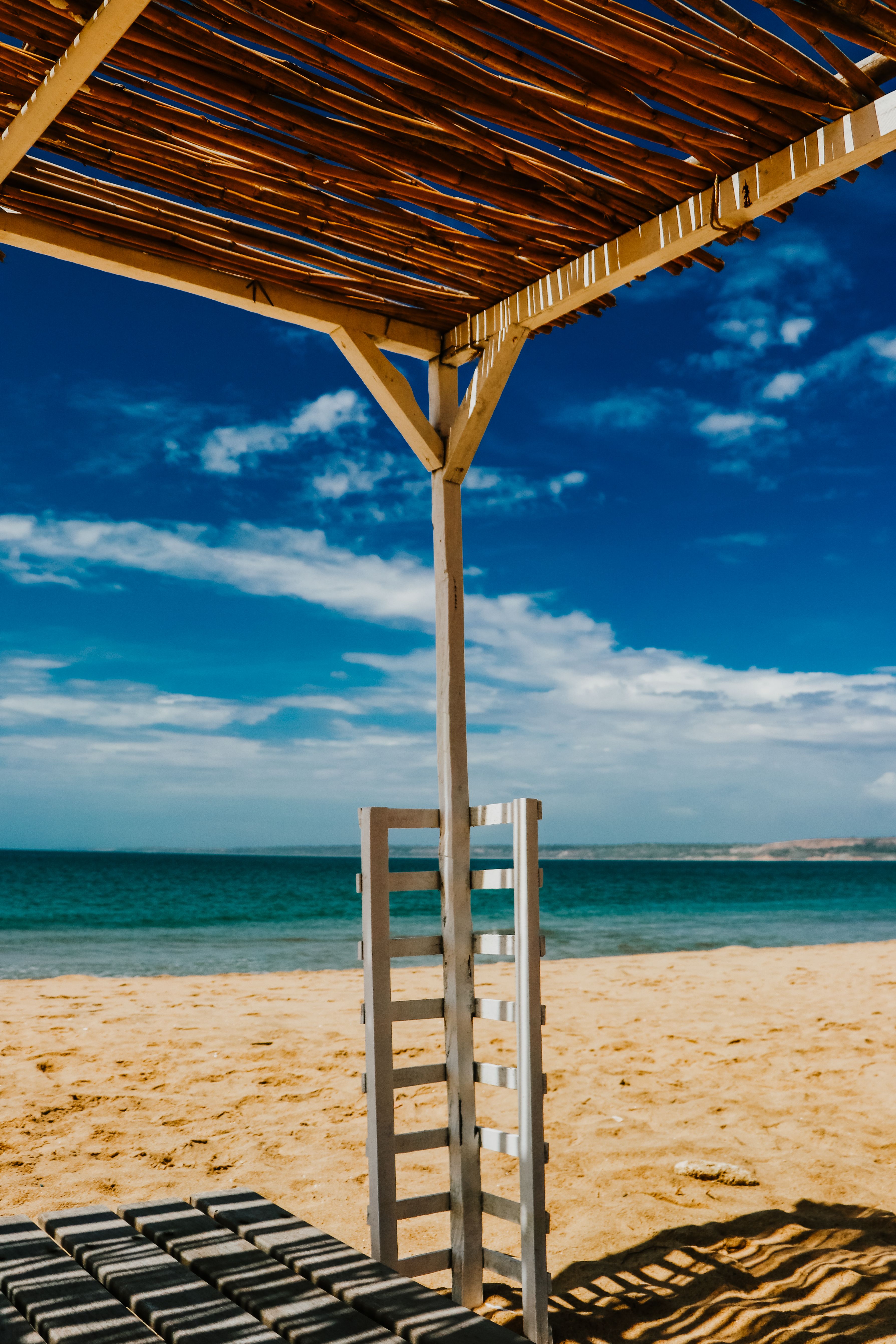 Sun Shades on the Beach · Free Stock Photo