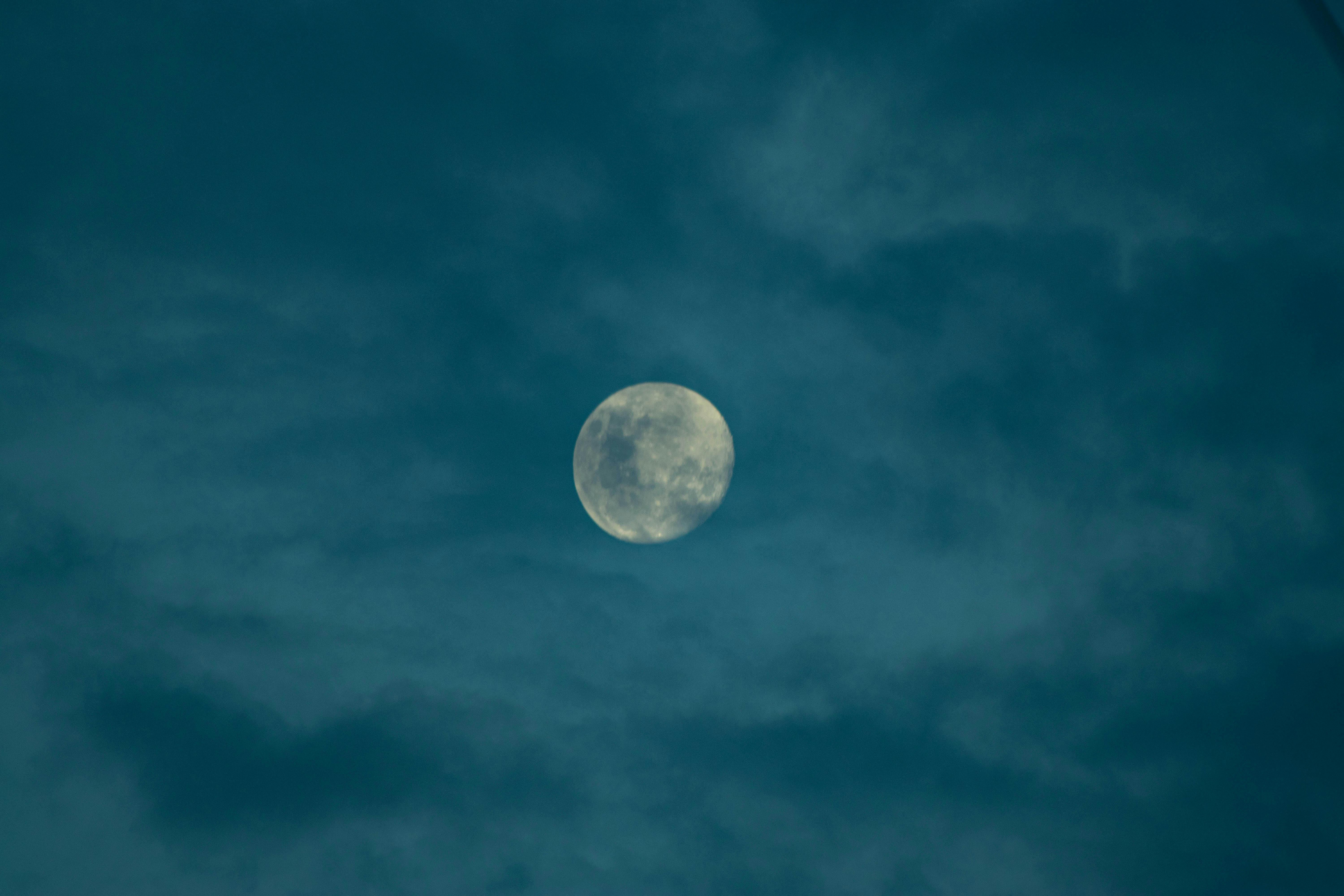 Full Moon over Trees · Free Stock Photo