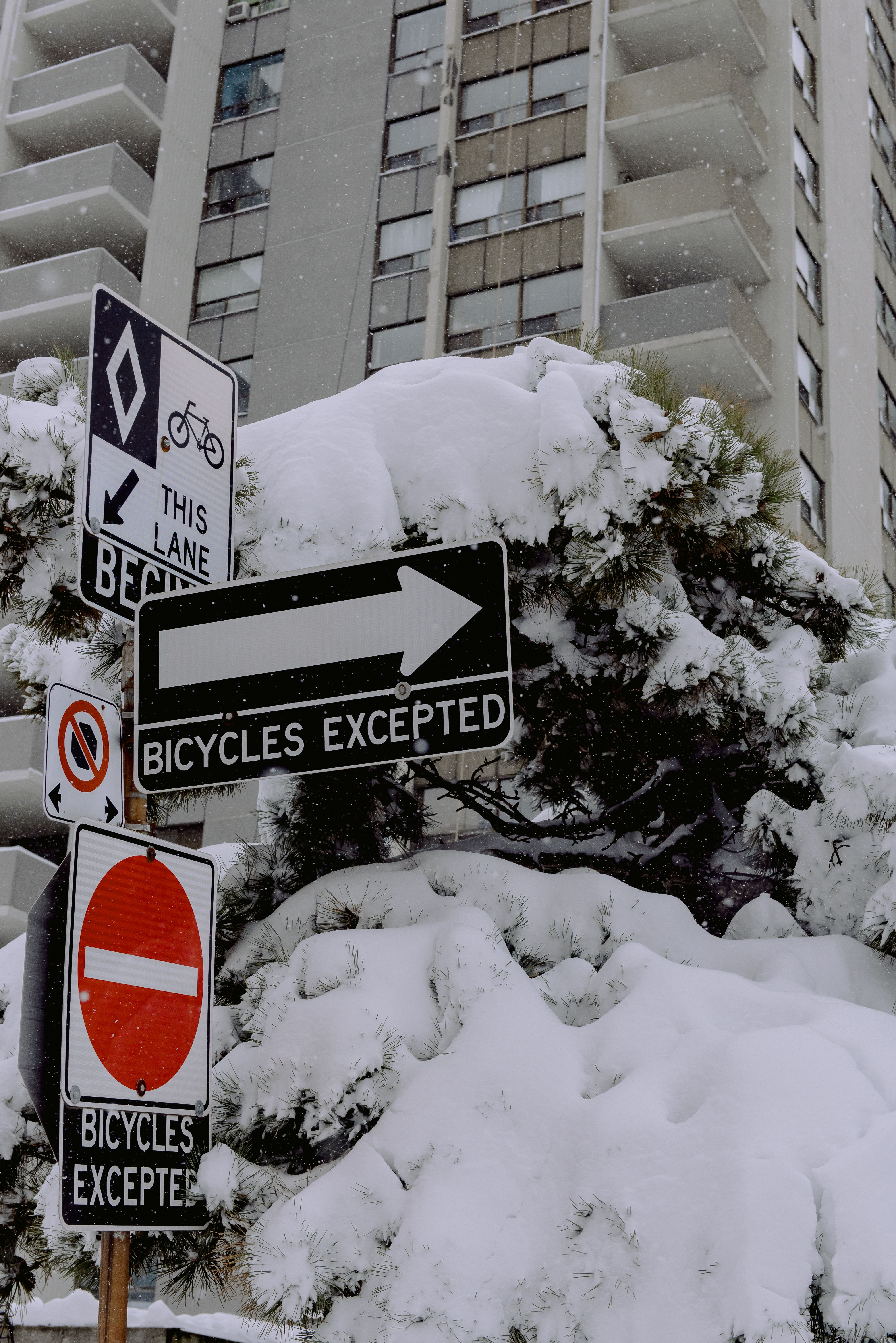 A Road Sign in Winter · Free Stock Photo