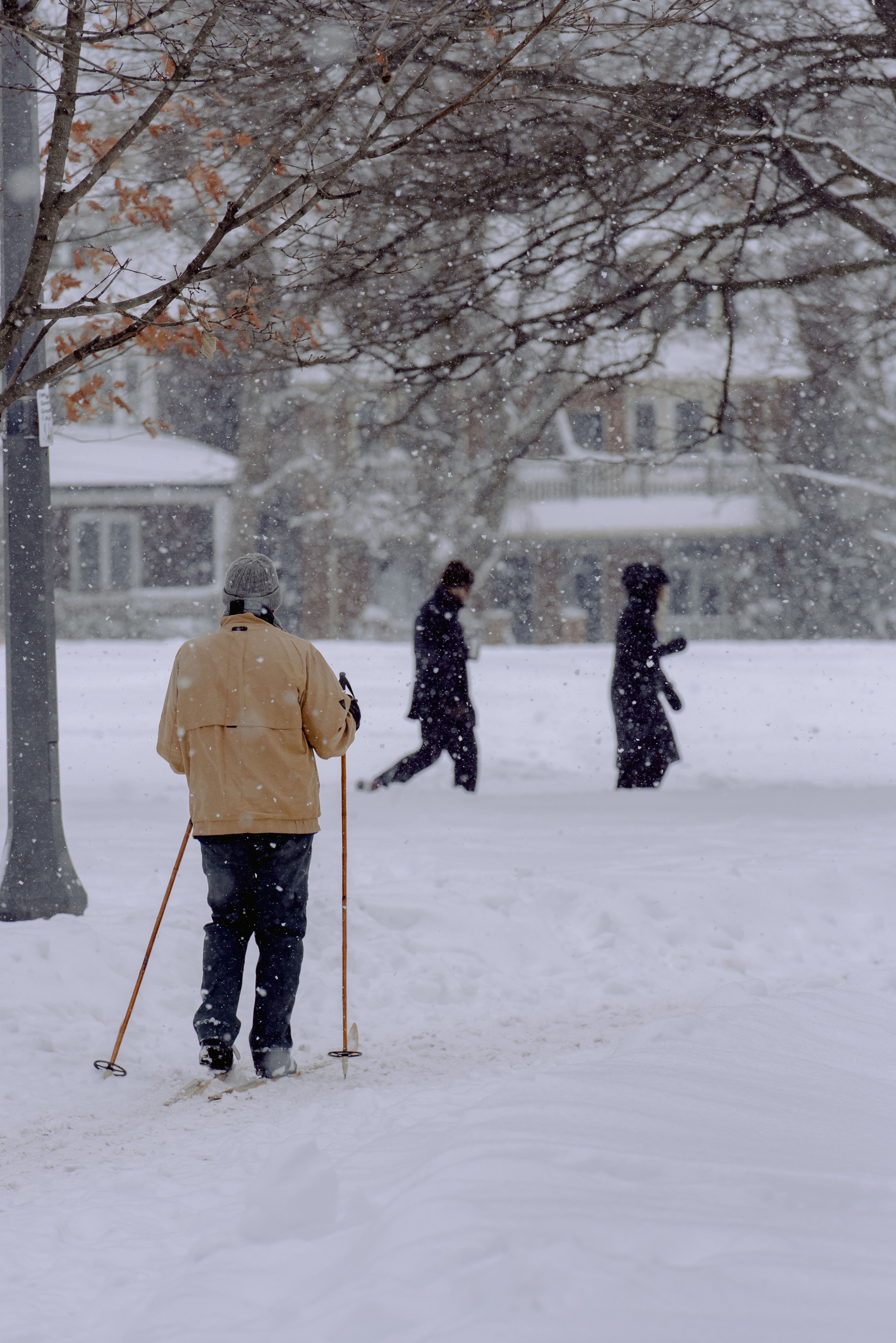 People Walking on Snow Covered Ground · Free Stock Photo