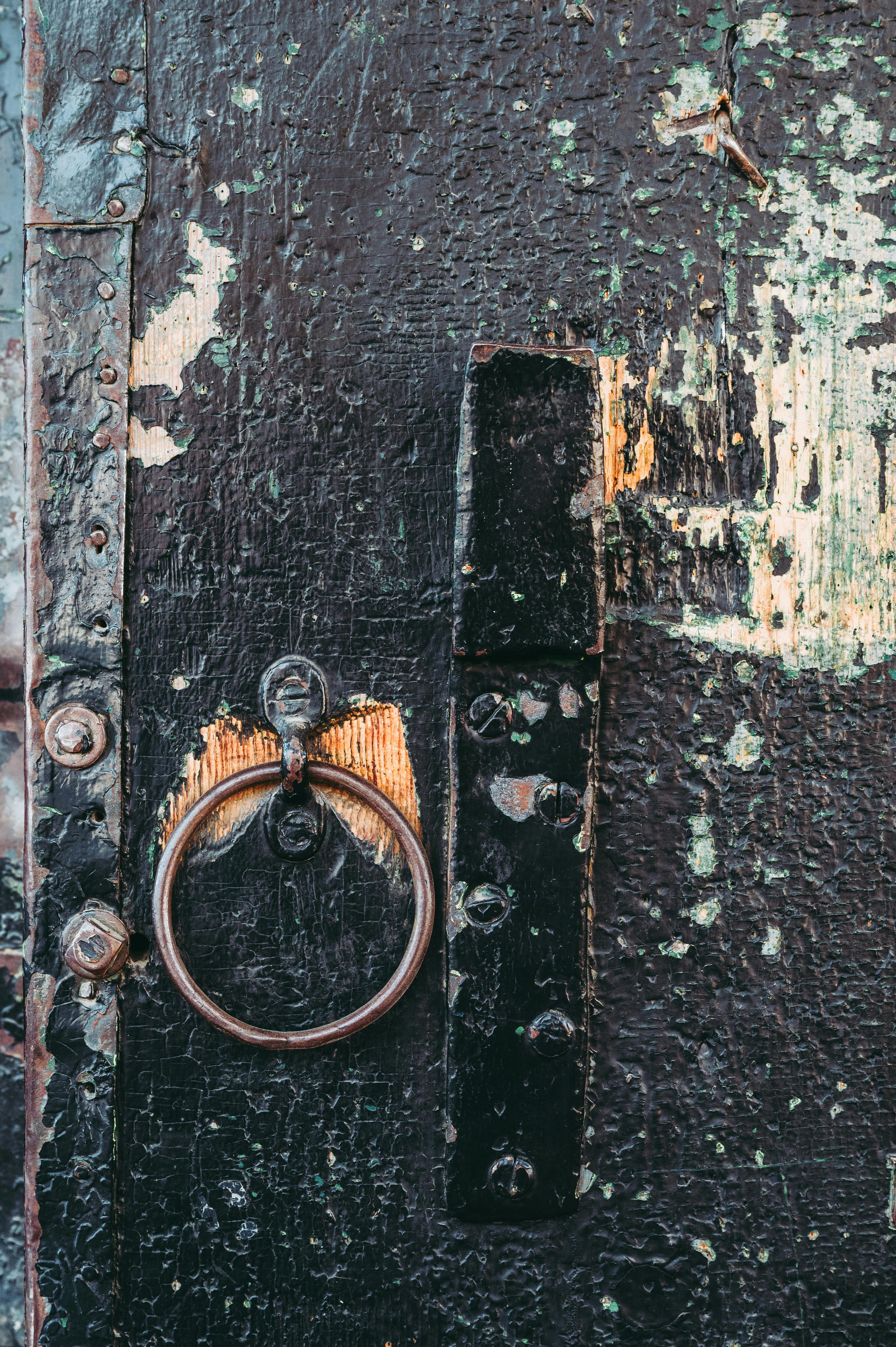 Bull Door Knocker · Free Stock Photo