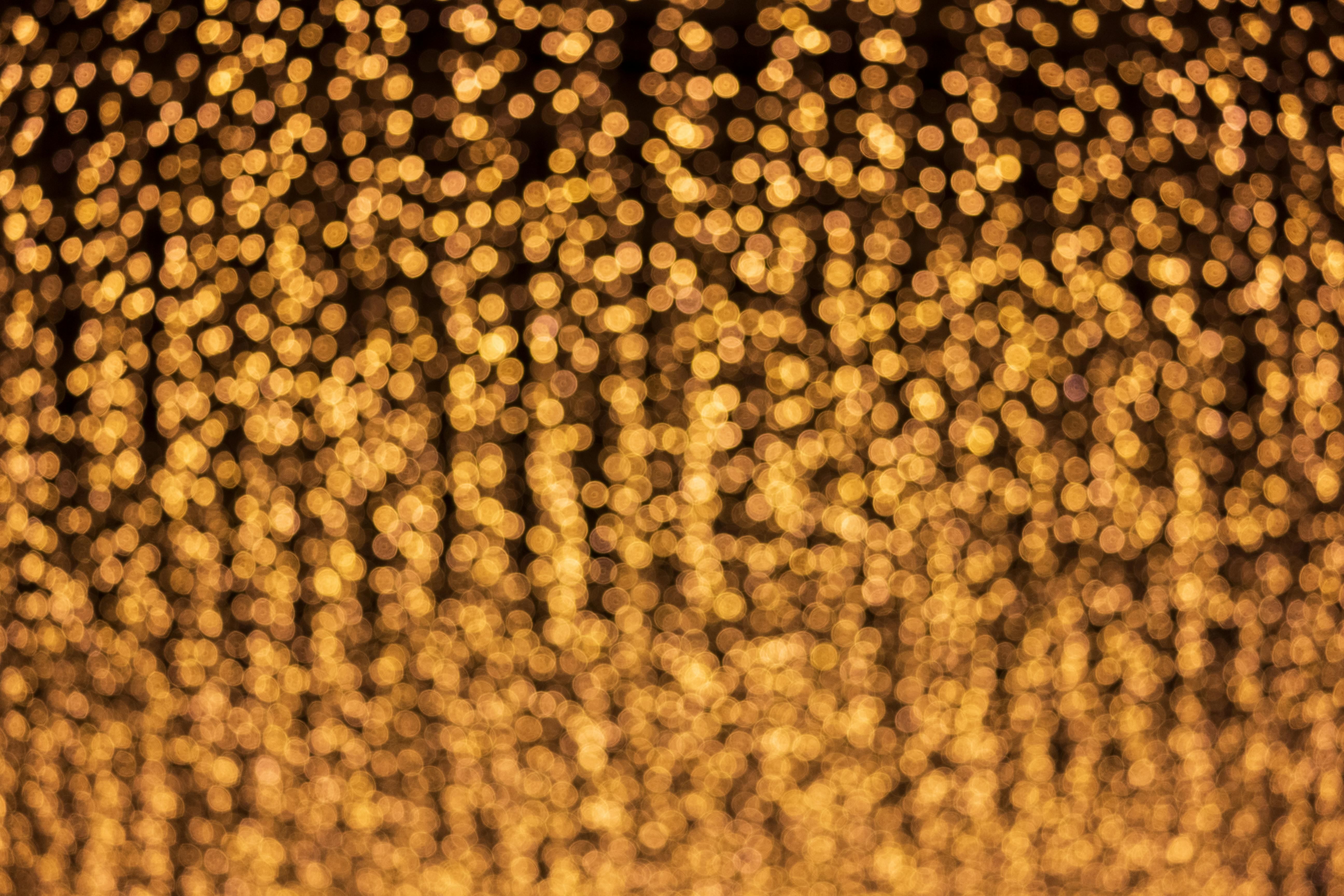 Photo of Bokeh · Free Stock Photo