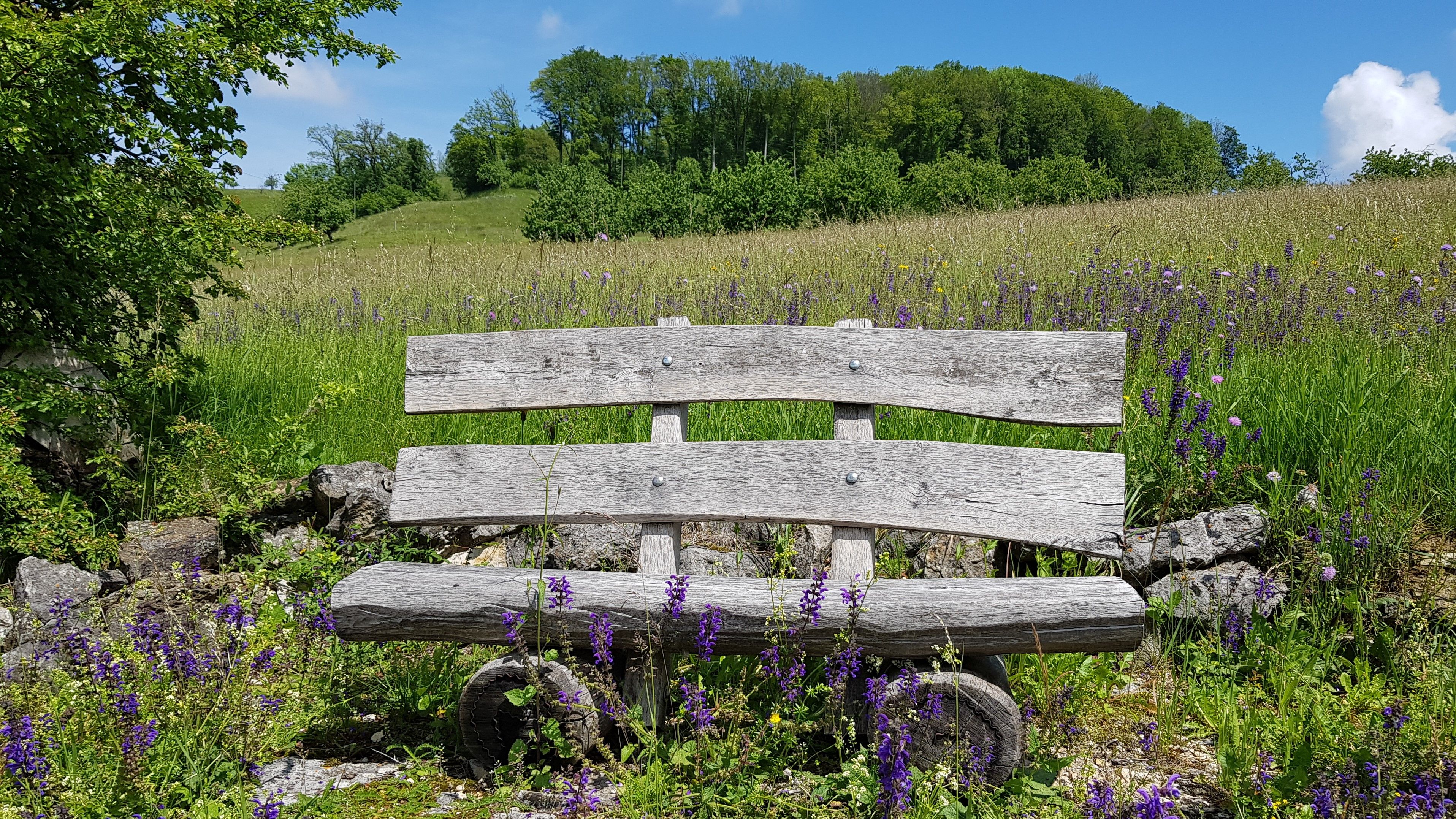 Brown Wooden Bench on Green Grass Field · Free Stock Photo