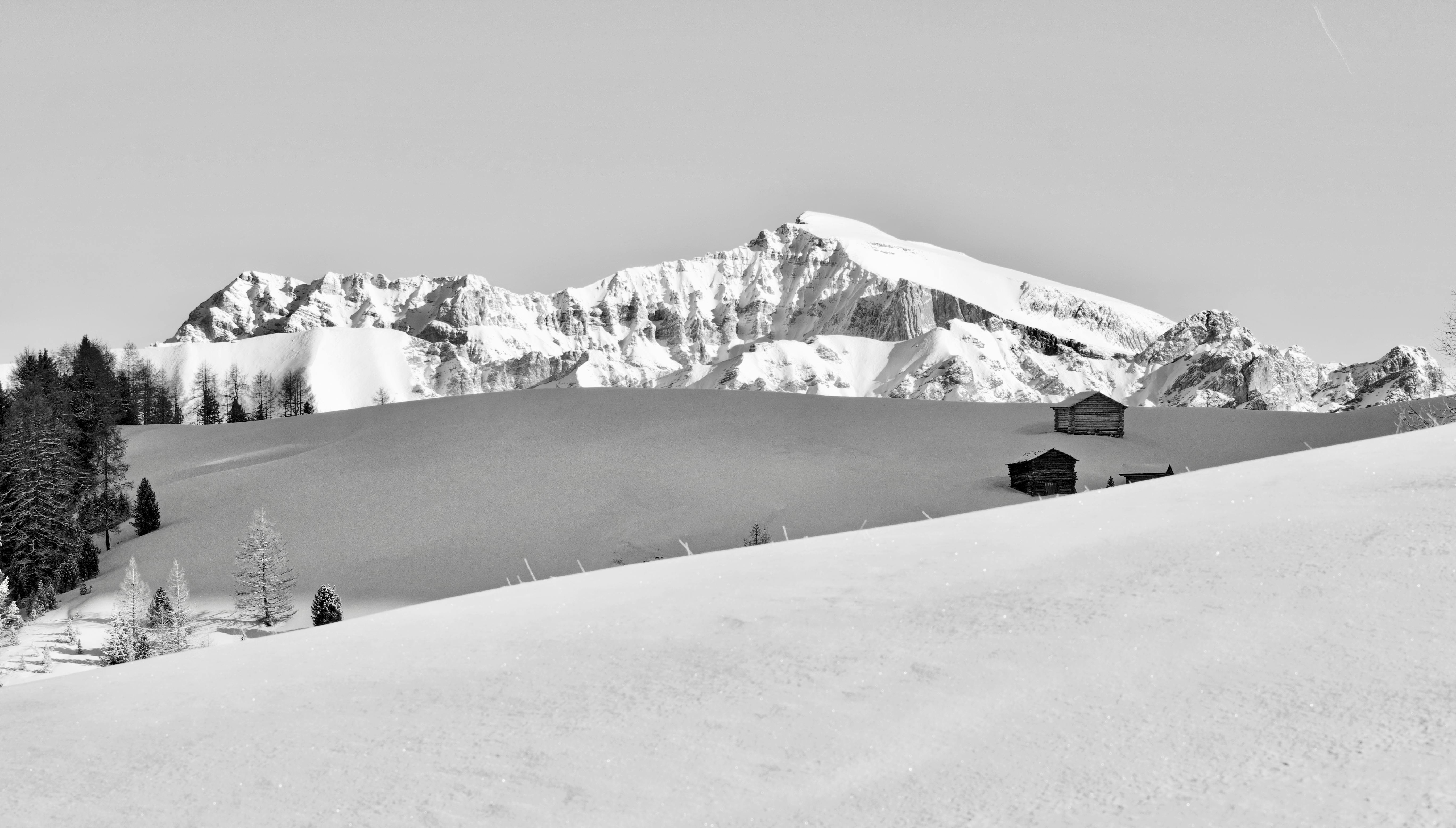 Grayscale Photography of Snow Covered Landscape · Free Stock Photo