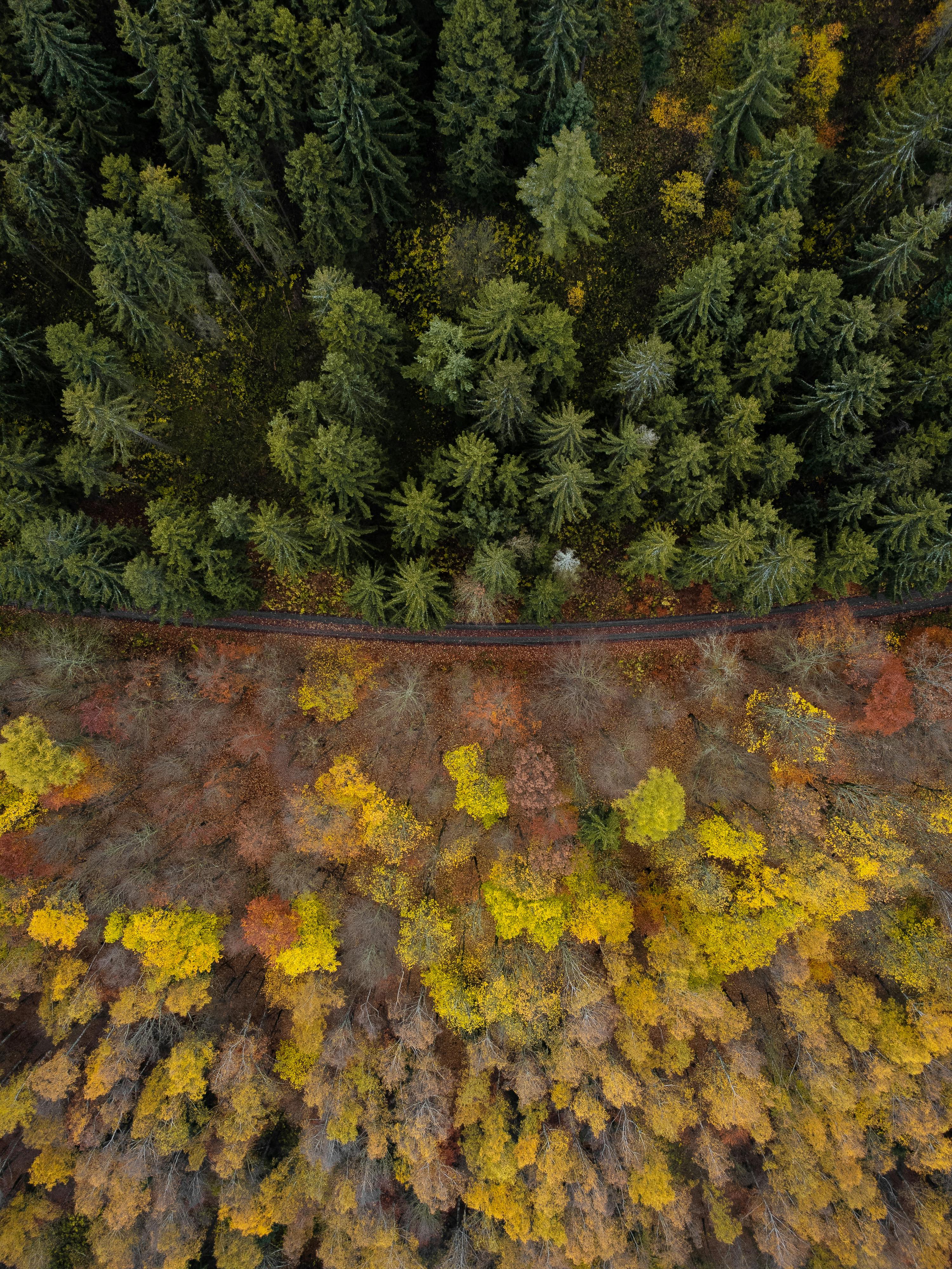 10+ Best Descriptive Photos · 100% Free Download · Pexels Stock Photos