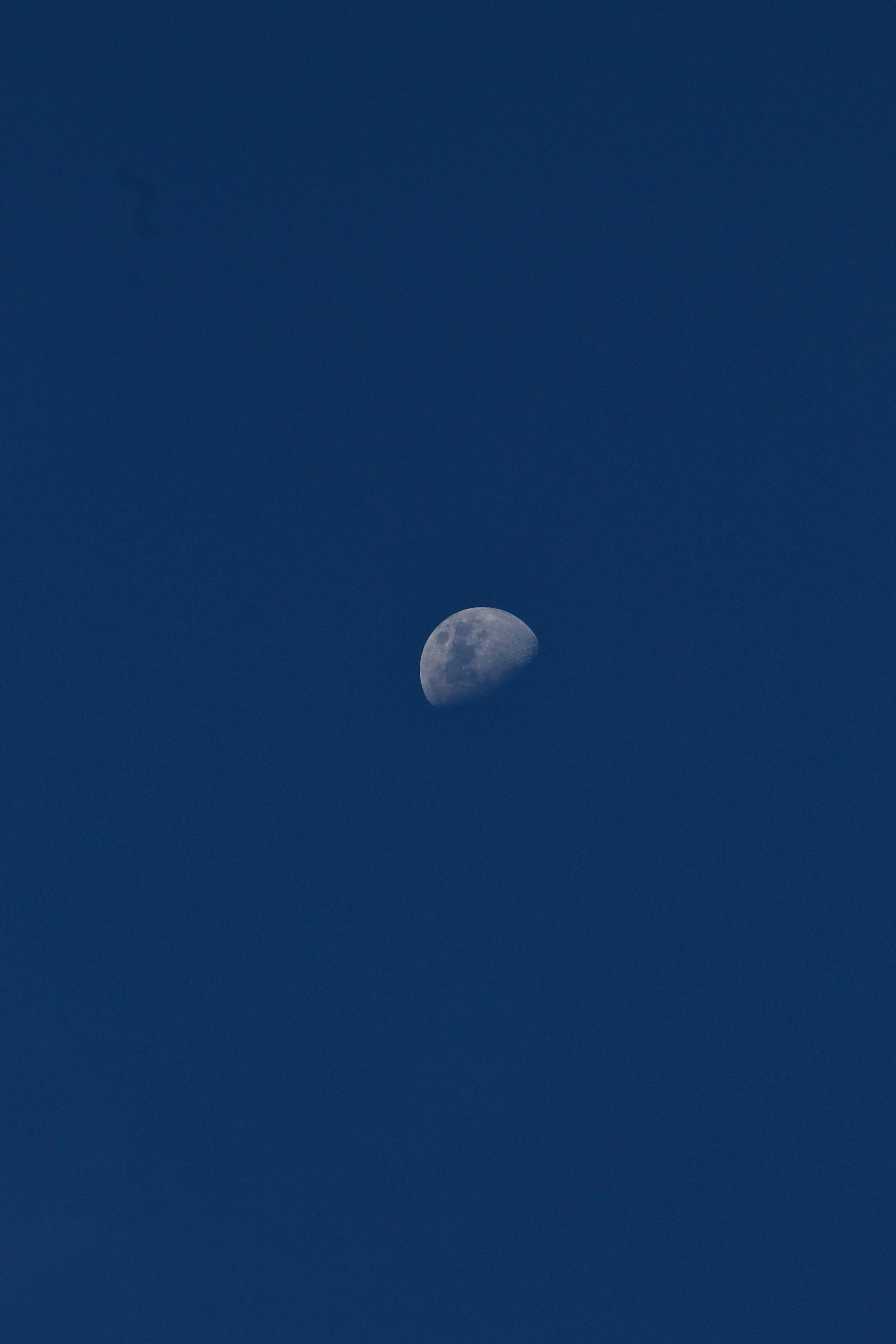 Moon on Sky · Free Stock Photo