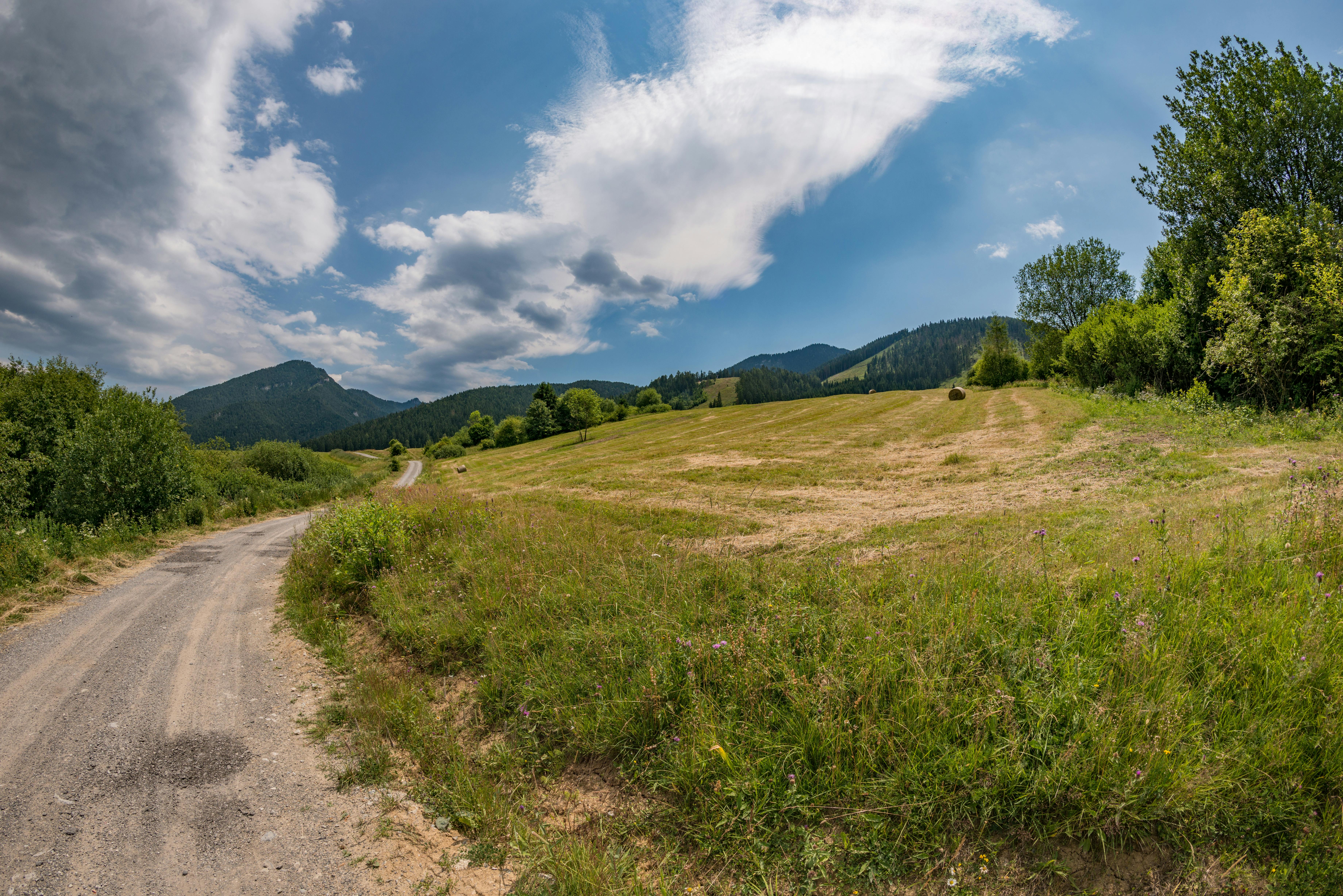 Clouds over Dirt Road · Free Stock Photo