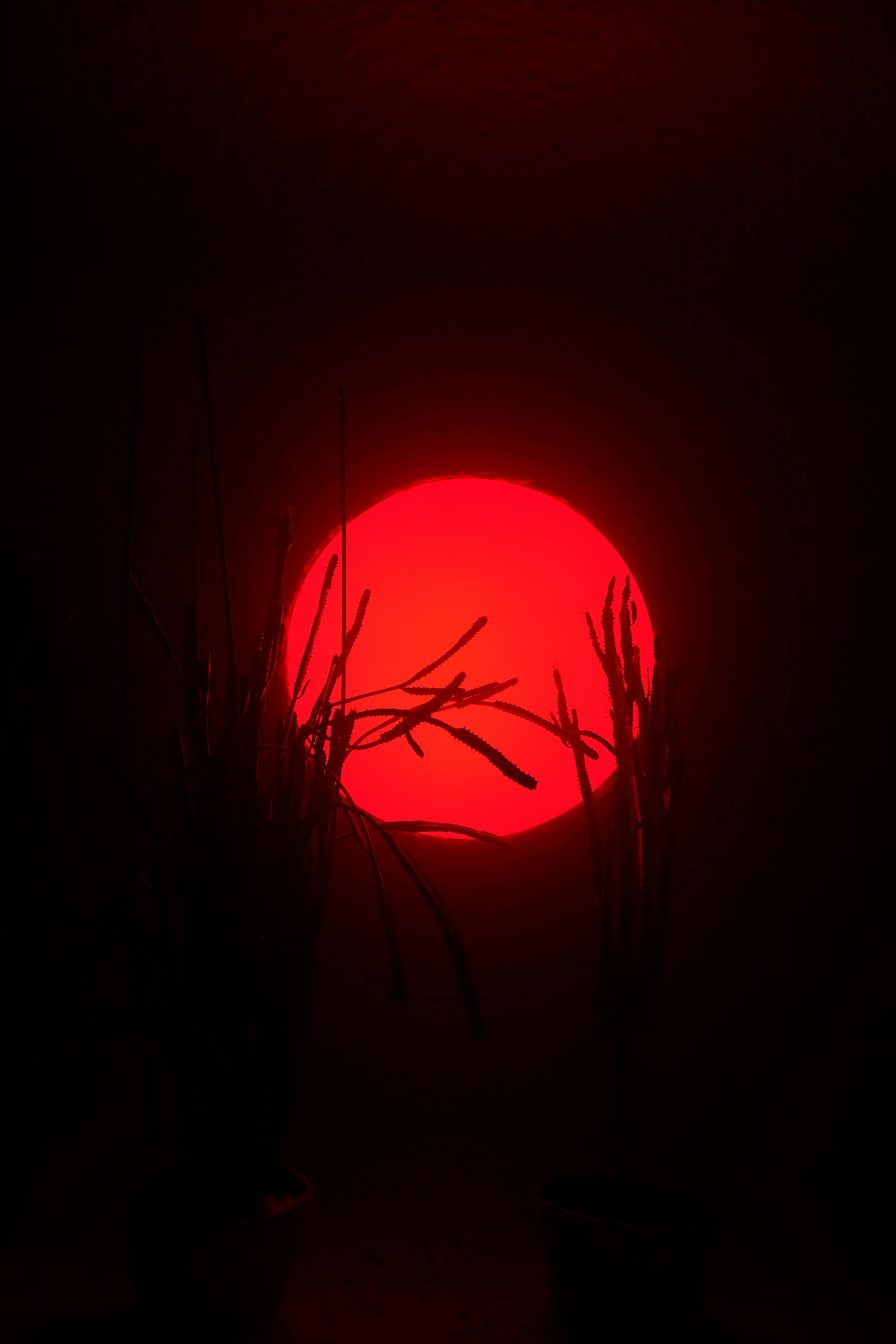 View of a Red Sun · Free Stock Photo