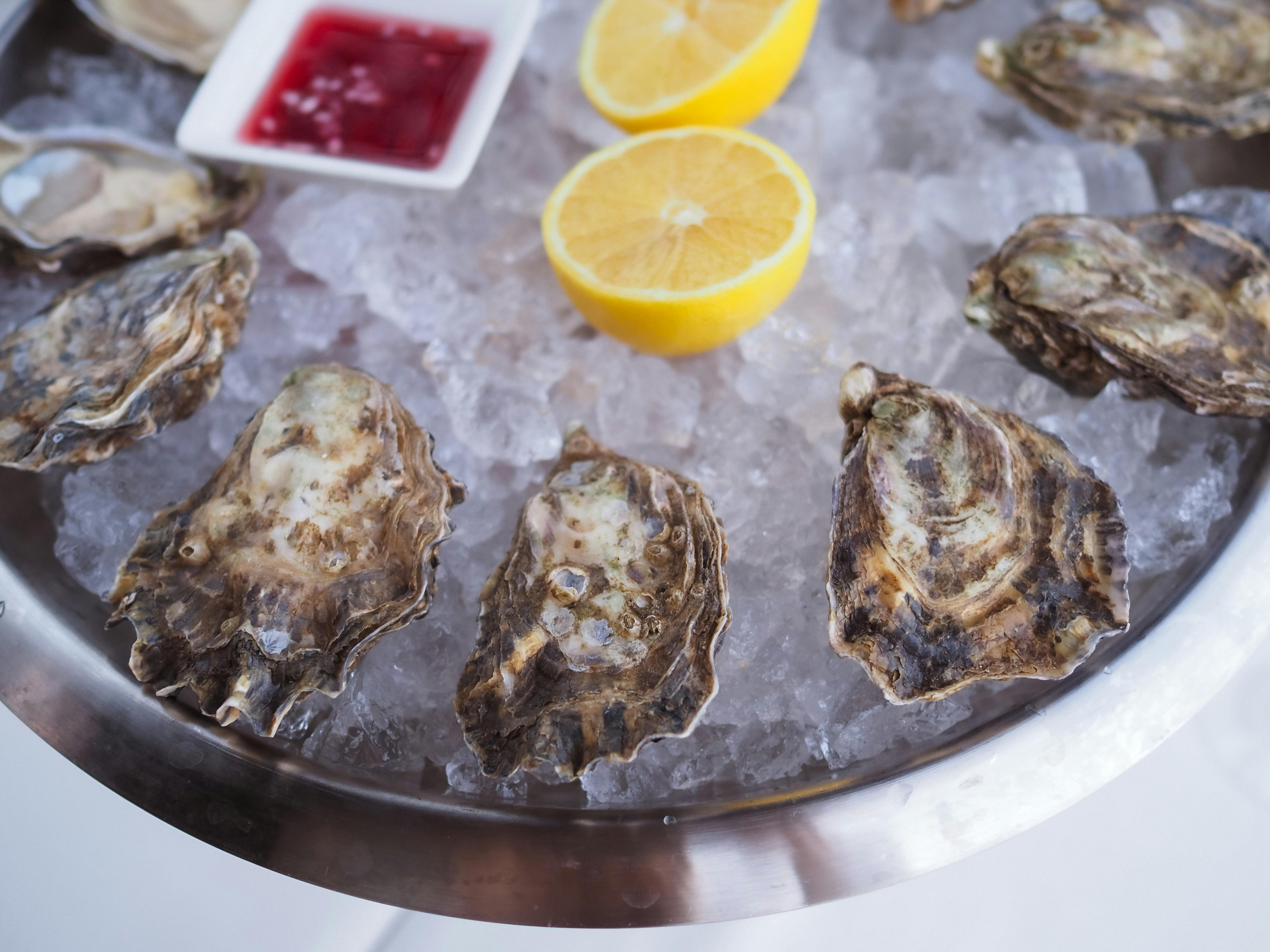 1,000+ Best Main Course Photos · 100% Free Download · Pexels Stock Photos