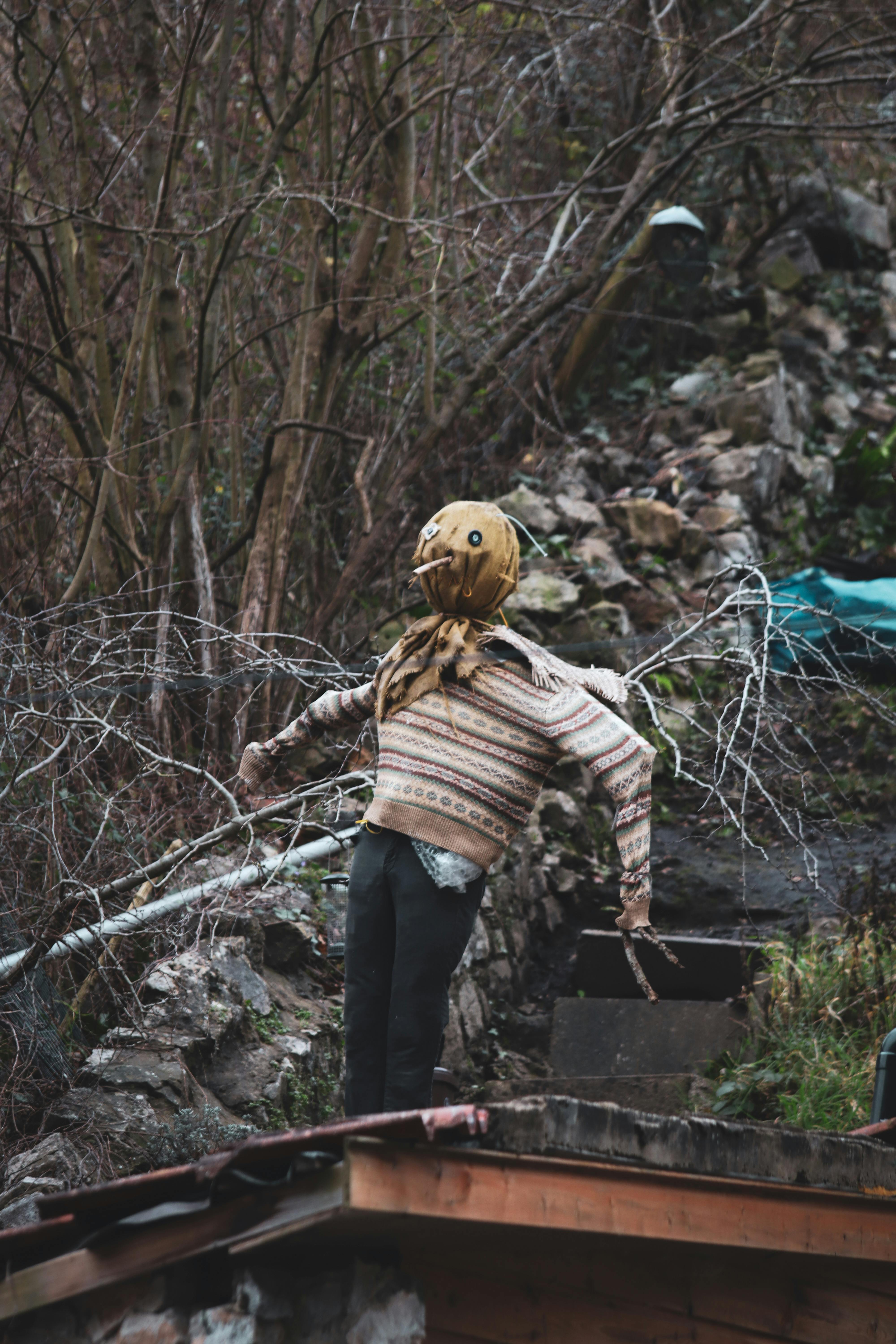 Scarecrow Beside Leafless Trees · Free Stock Photo