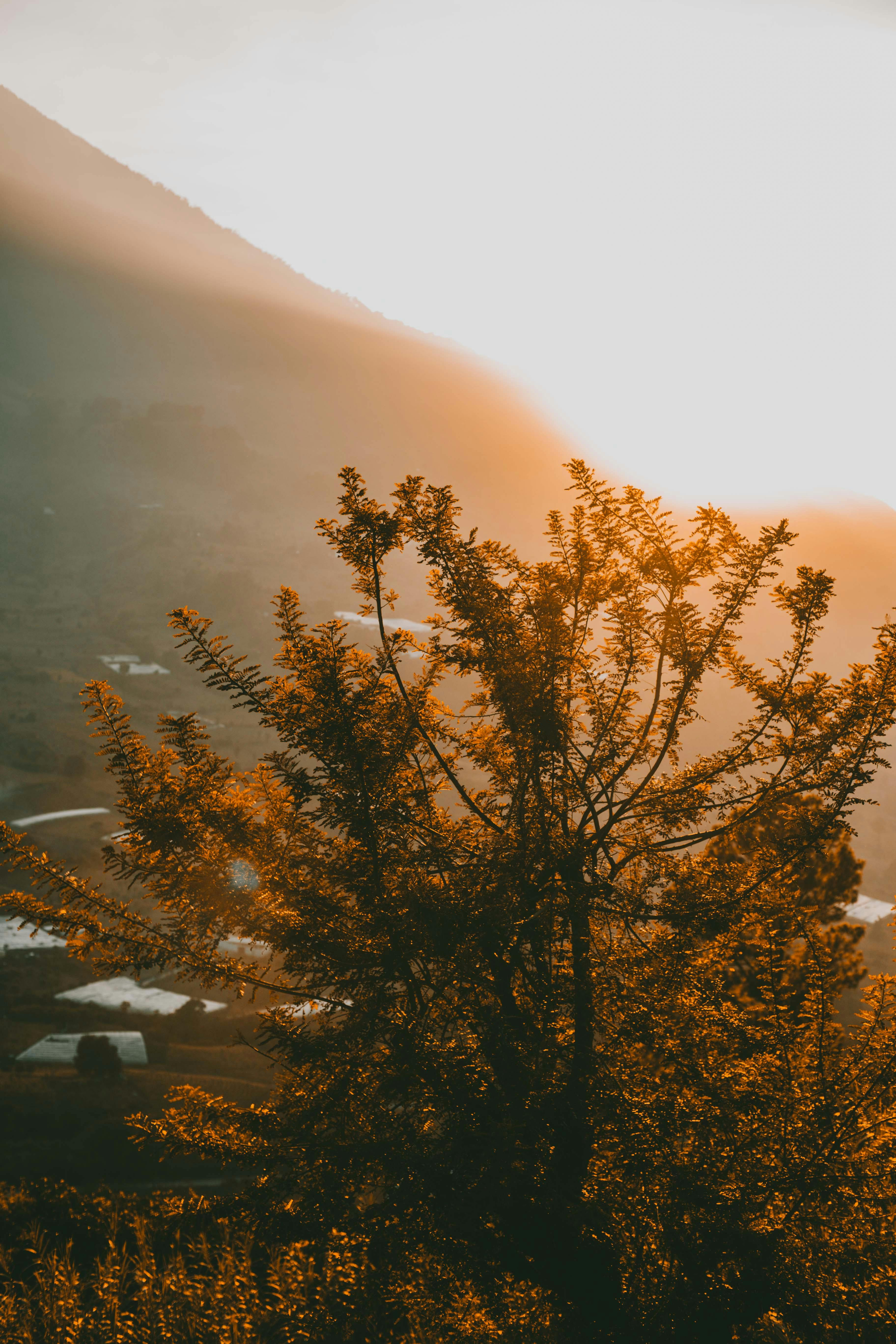 Fall Jesus Photos, Download The BEST Free Fall Jesus Stock Photos & HD ...