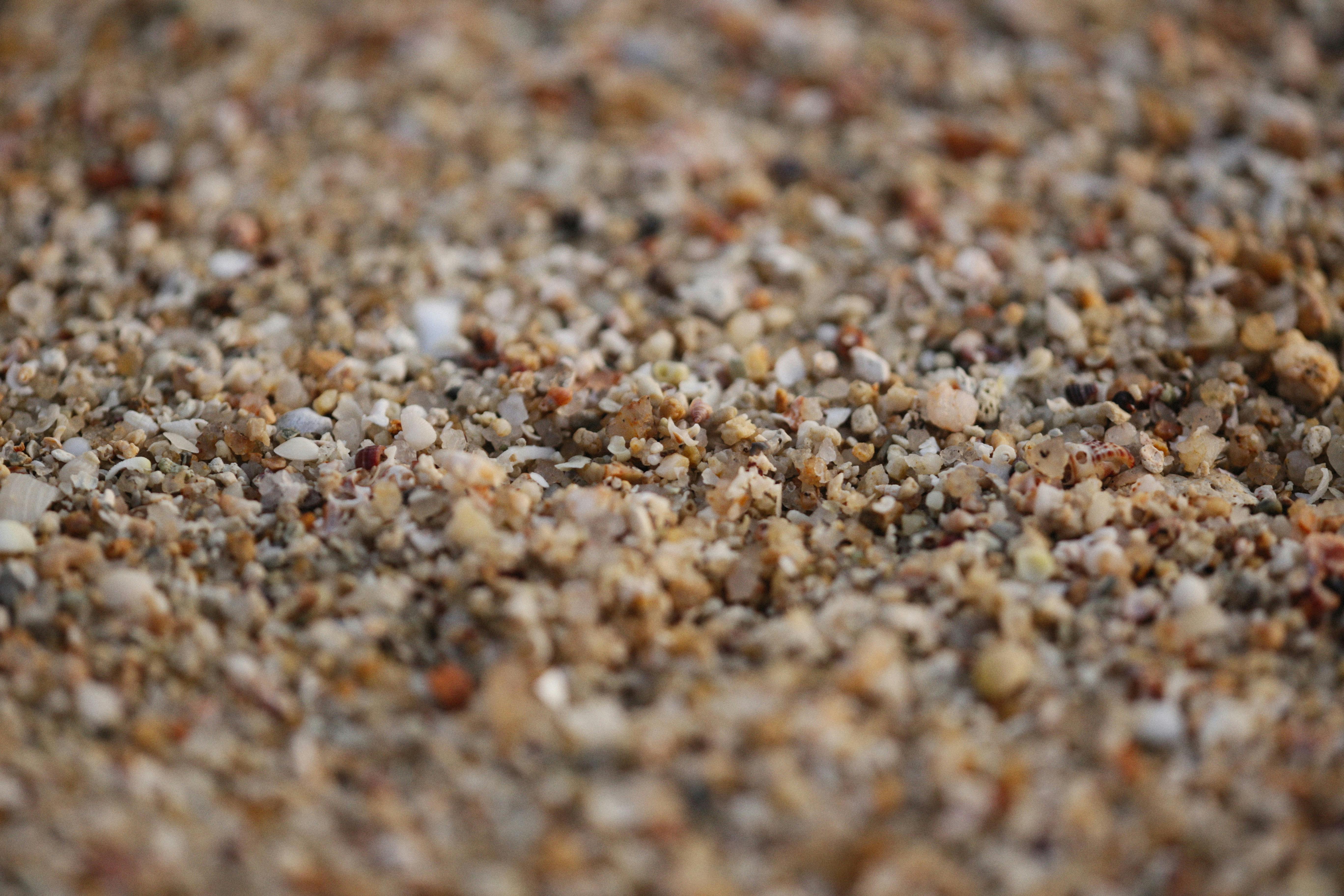 Pebble Stone on Ground · Free Stock Photo