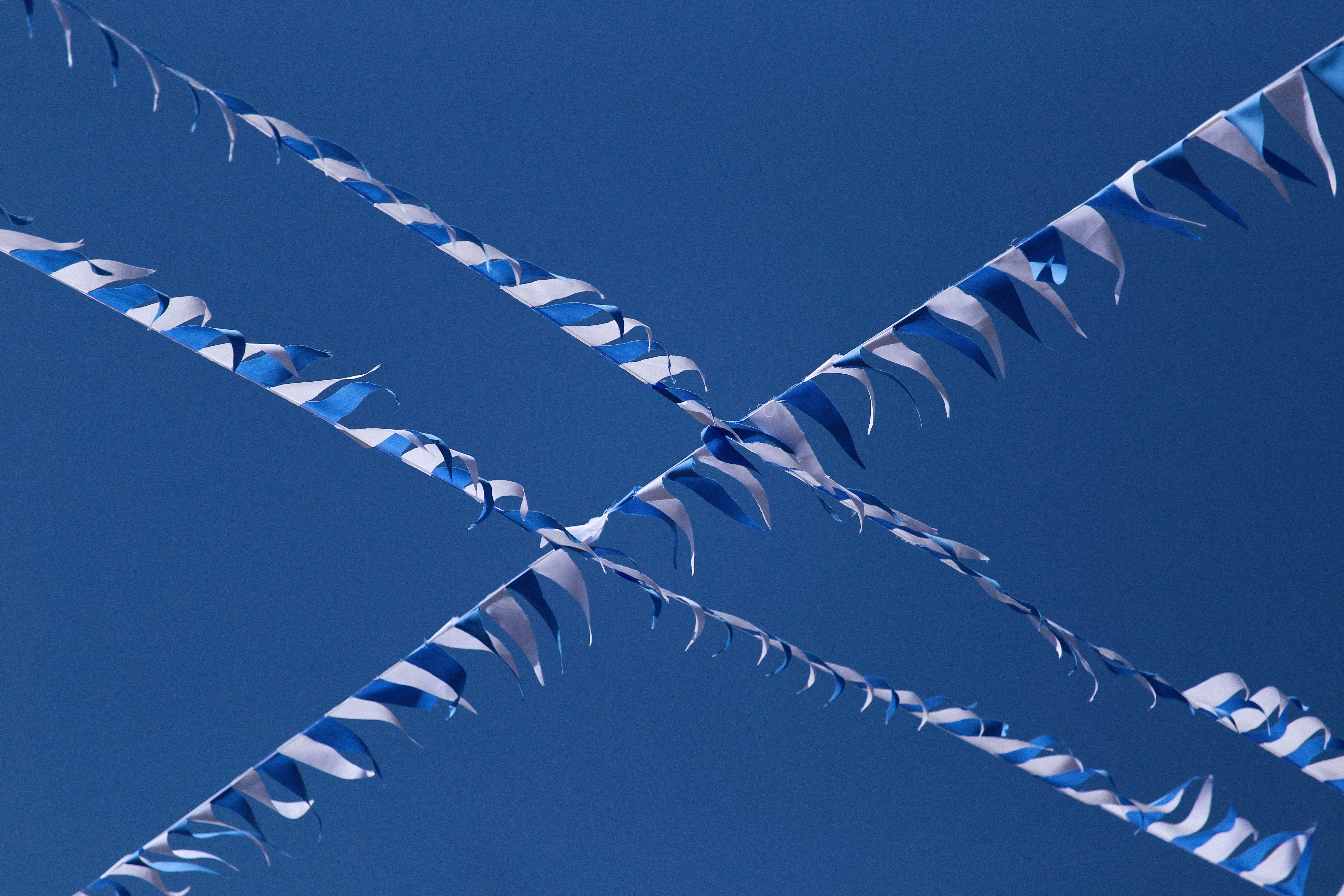 Streamers Photos, Download The BEST Free Streamers Stock Photos & HD Images