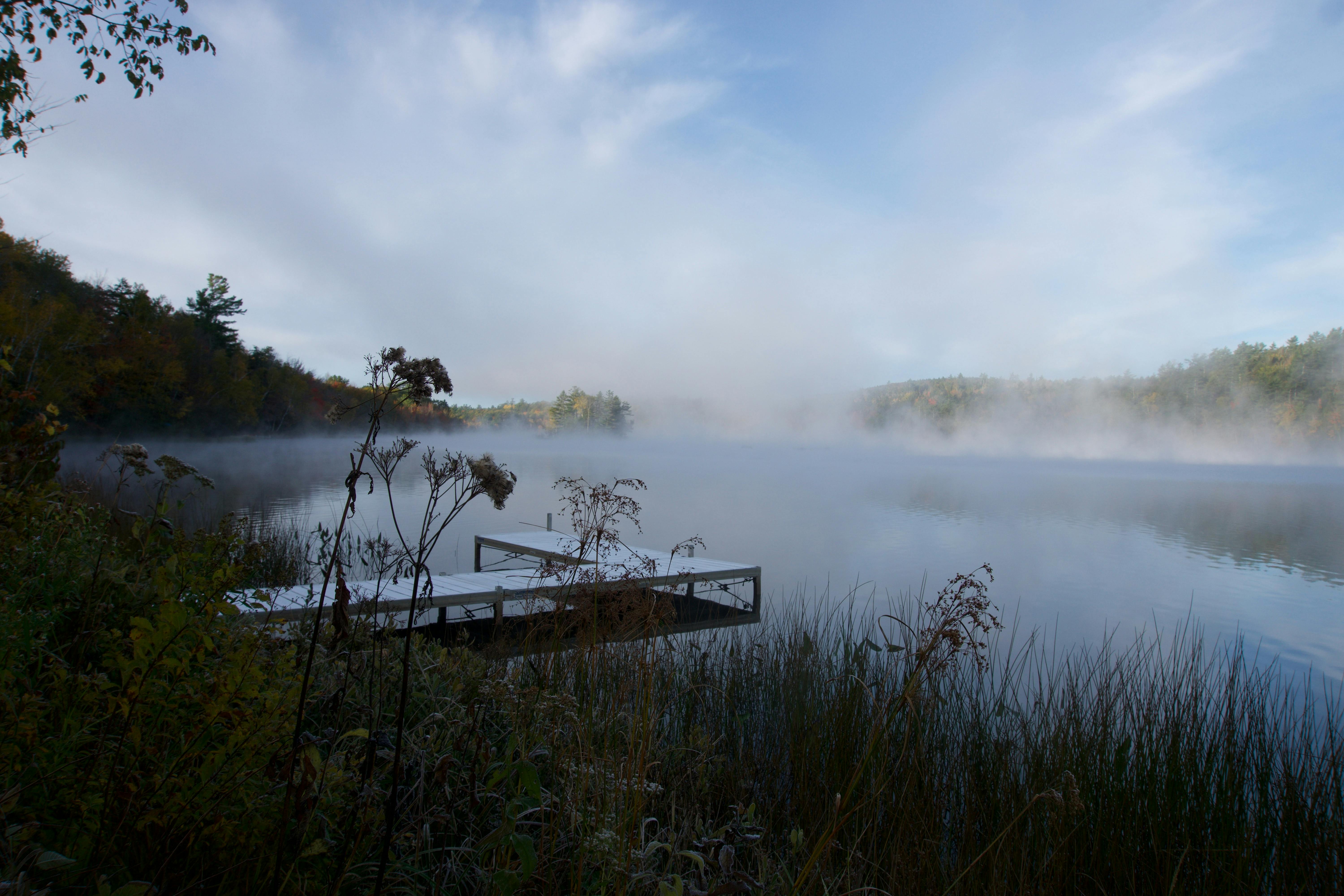 Fog over Lake · Free Stock Photo