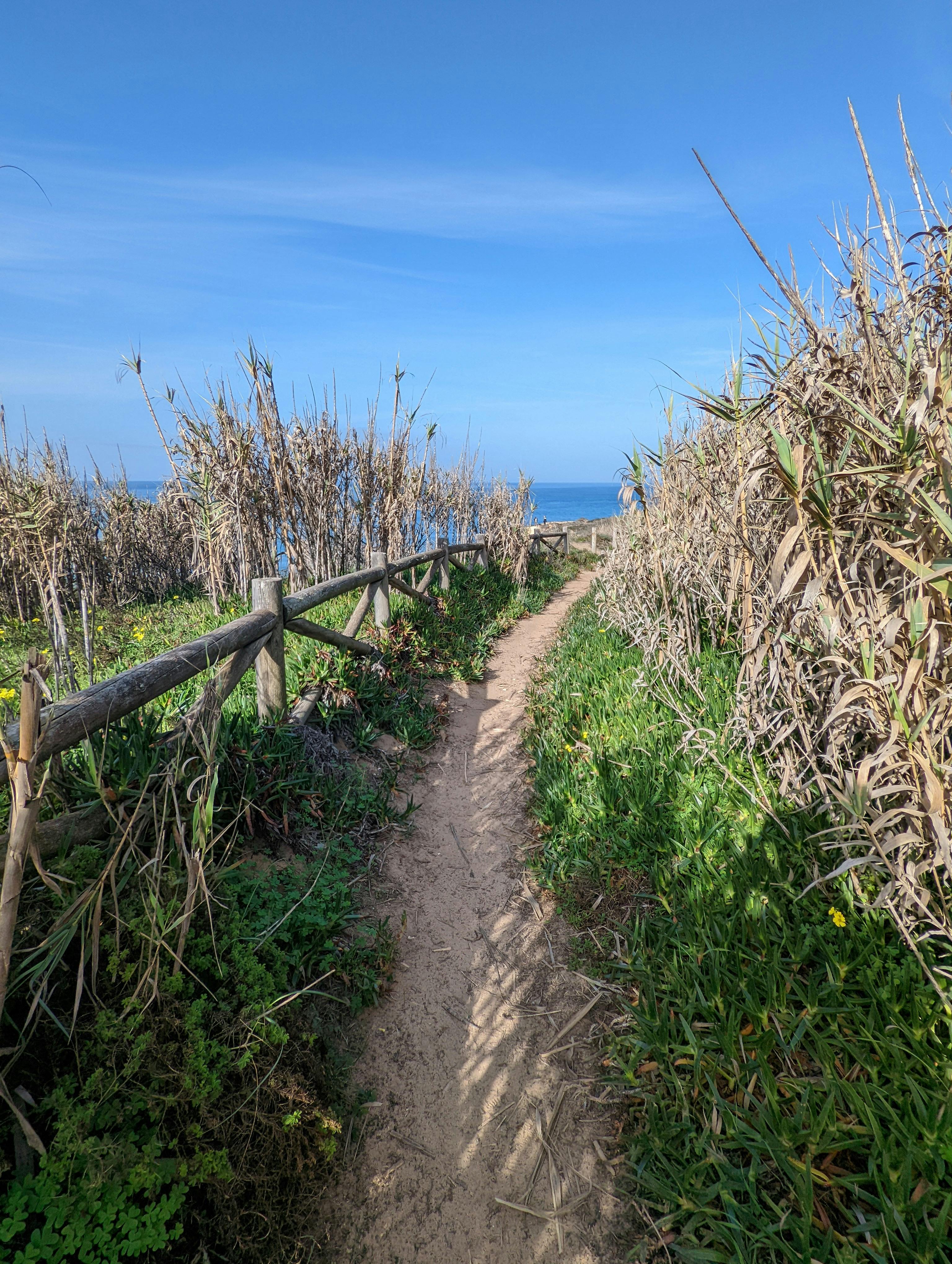 Path Leading into Sea · Free Stock Photo