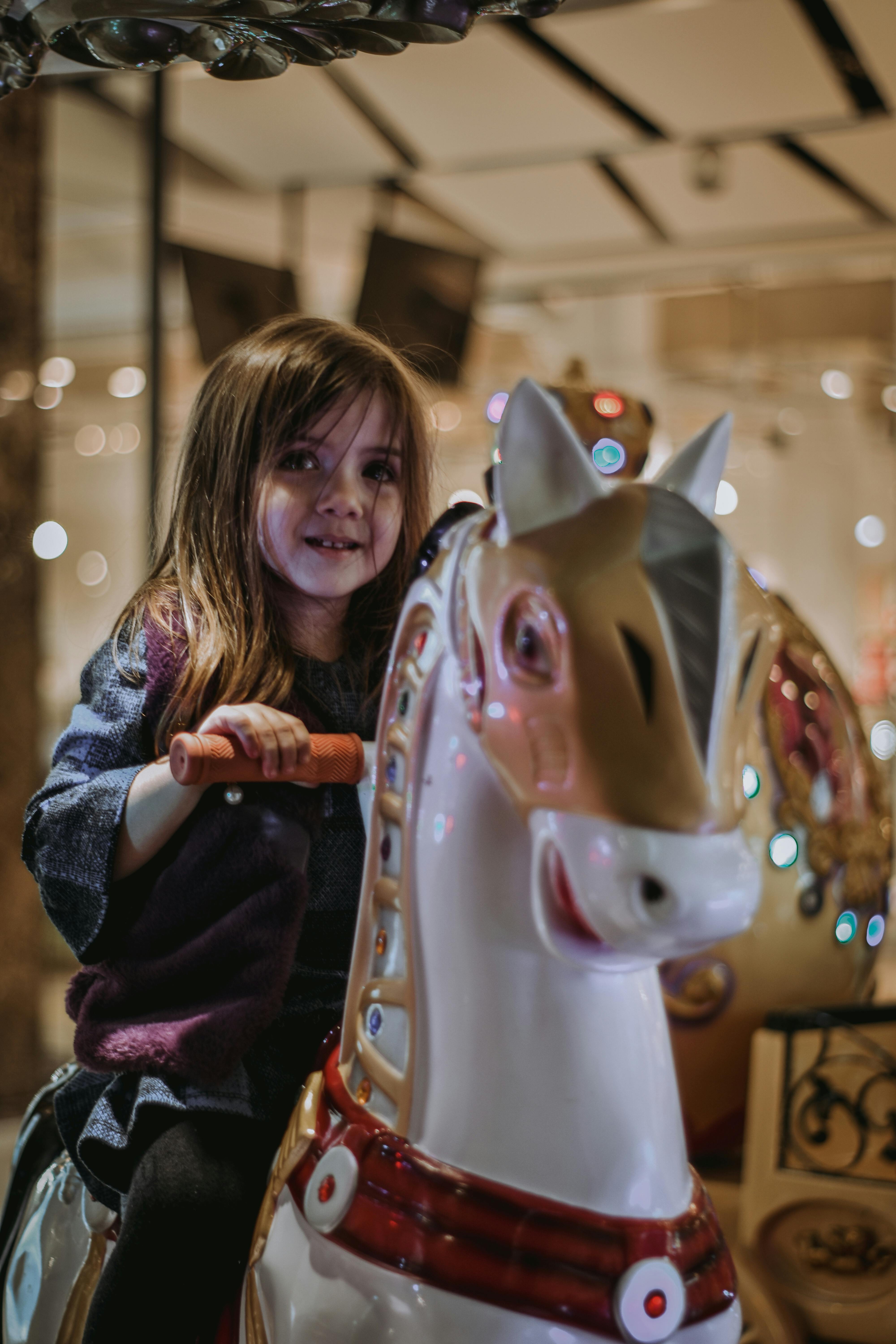 Carousel Horse Photos, Download The BEST Free Carousel Horse Stock ...