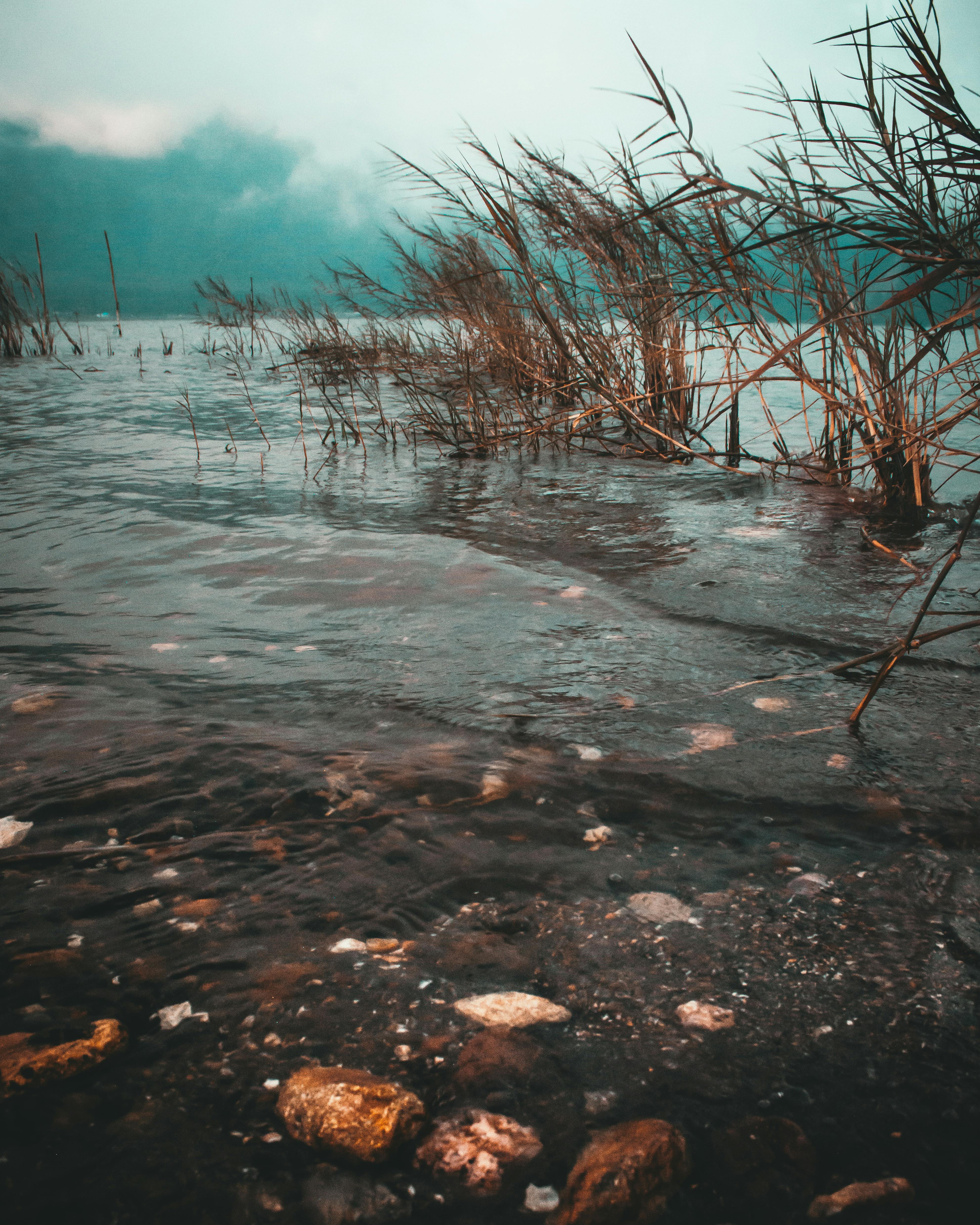 500+ Interesting Garbage Photos · Pexels · Free Stock Photos