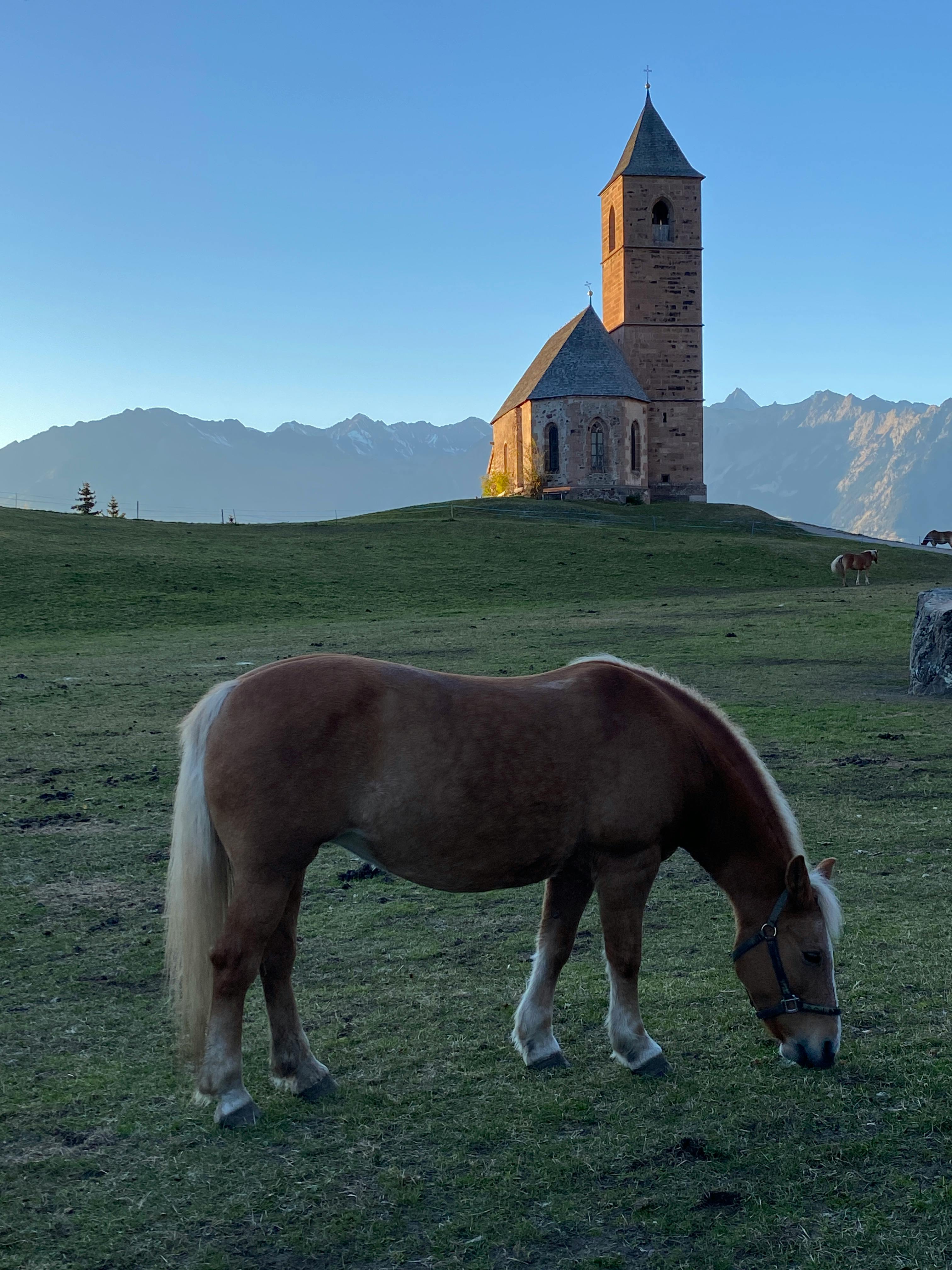 Alex Pfaff - Photography