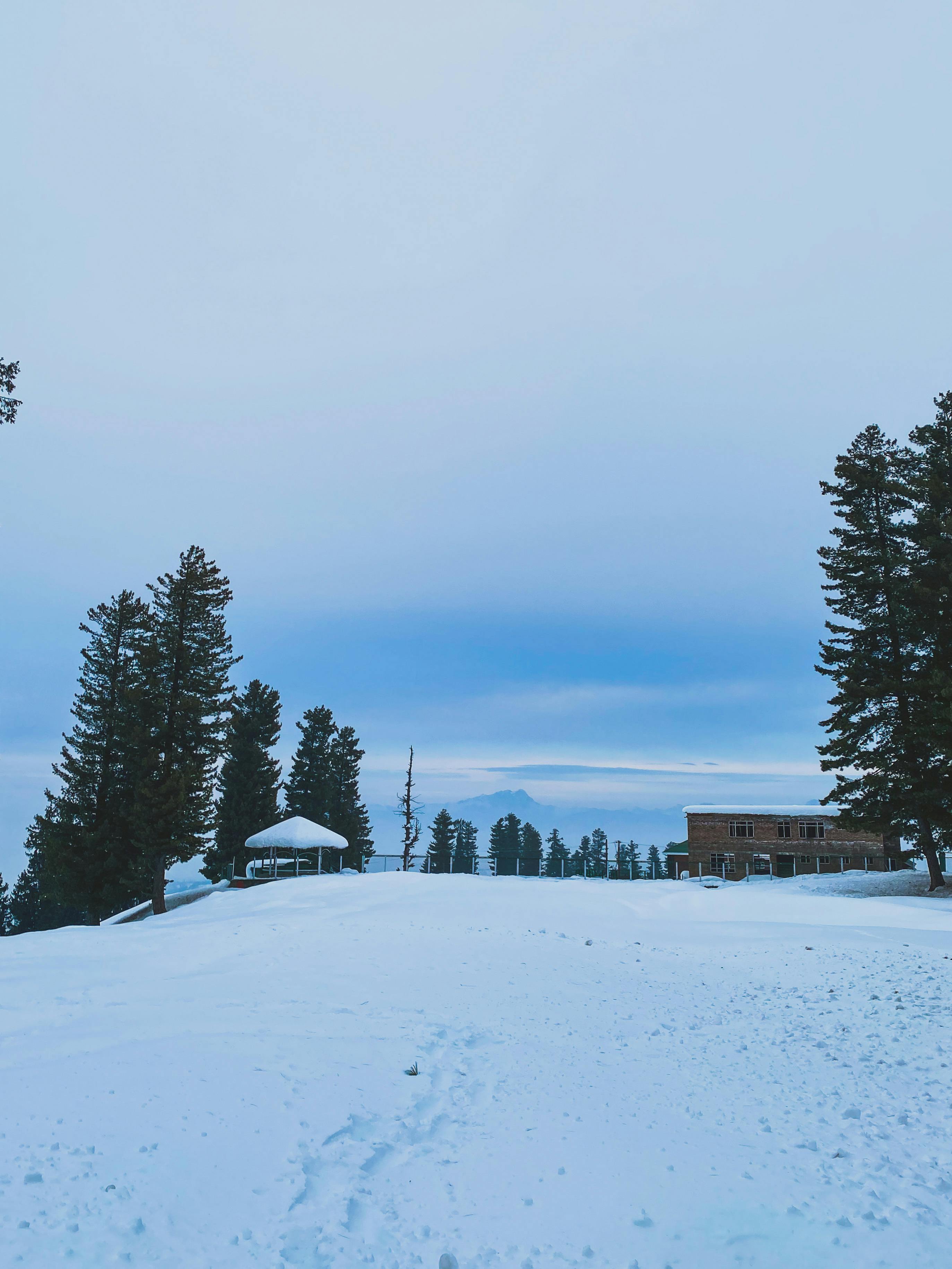 Photo of a Snow Covered Ground · Free Stock Photo