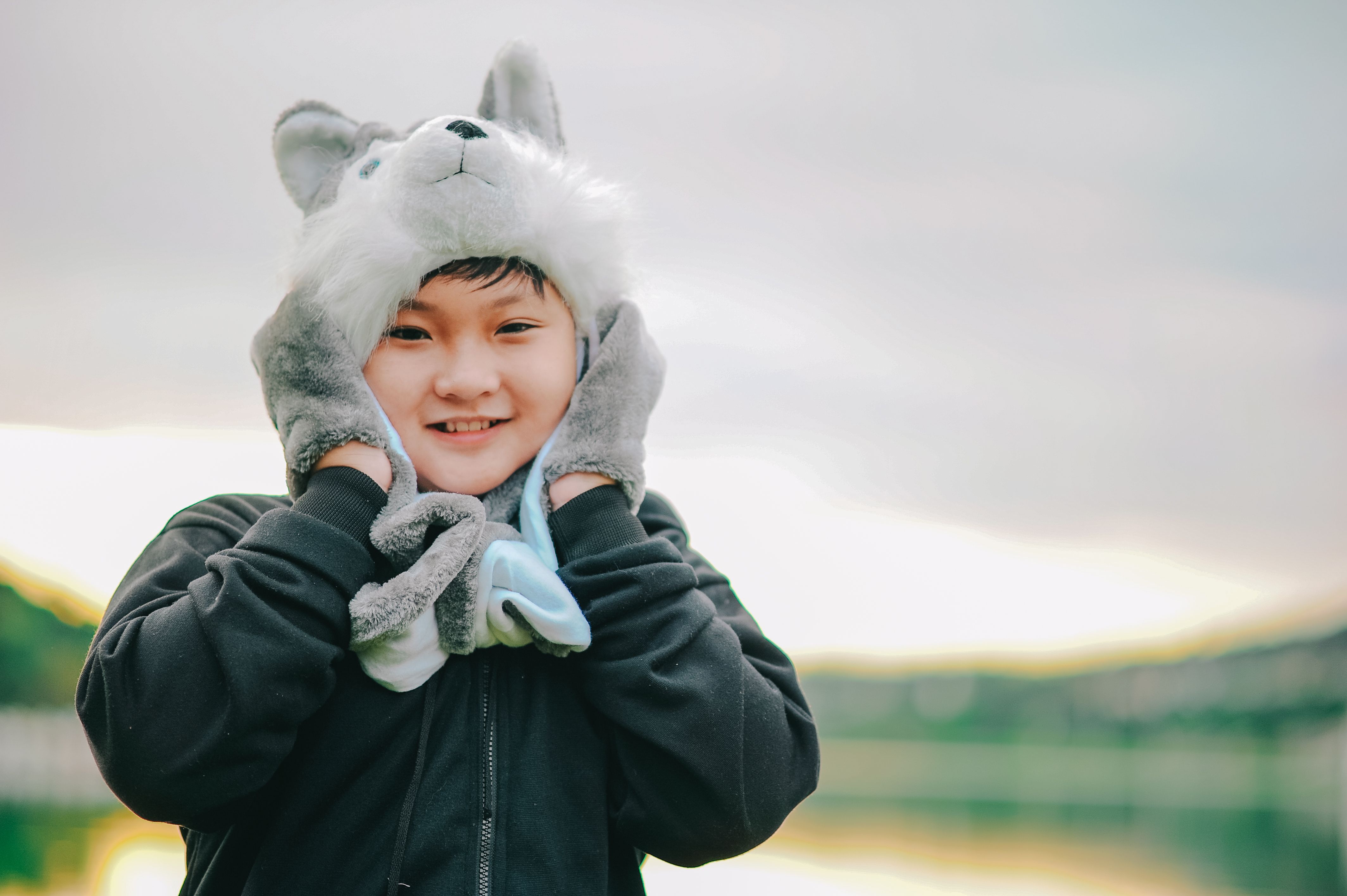 Innocent Wolf Photos, Download The BEST Free Innocent Wolf Stock Photos ...