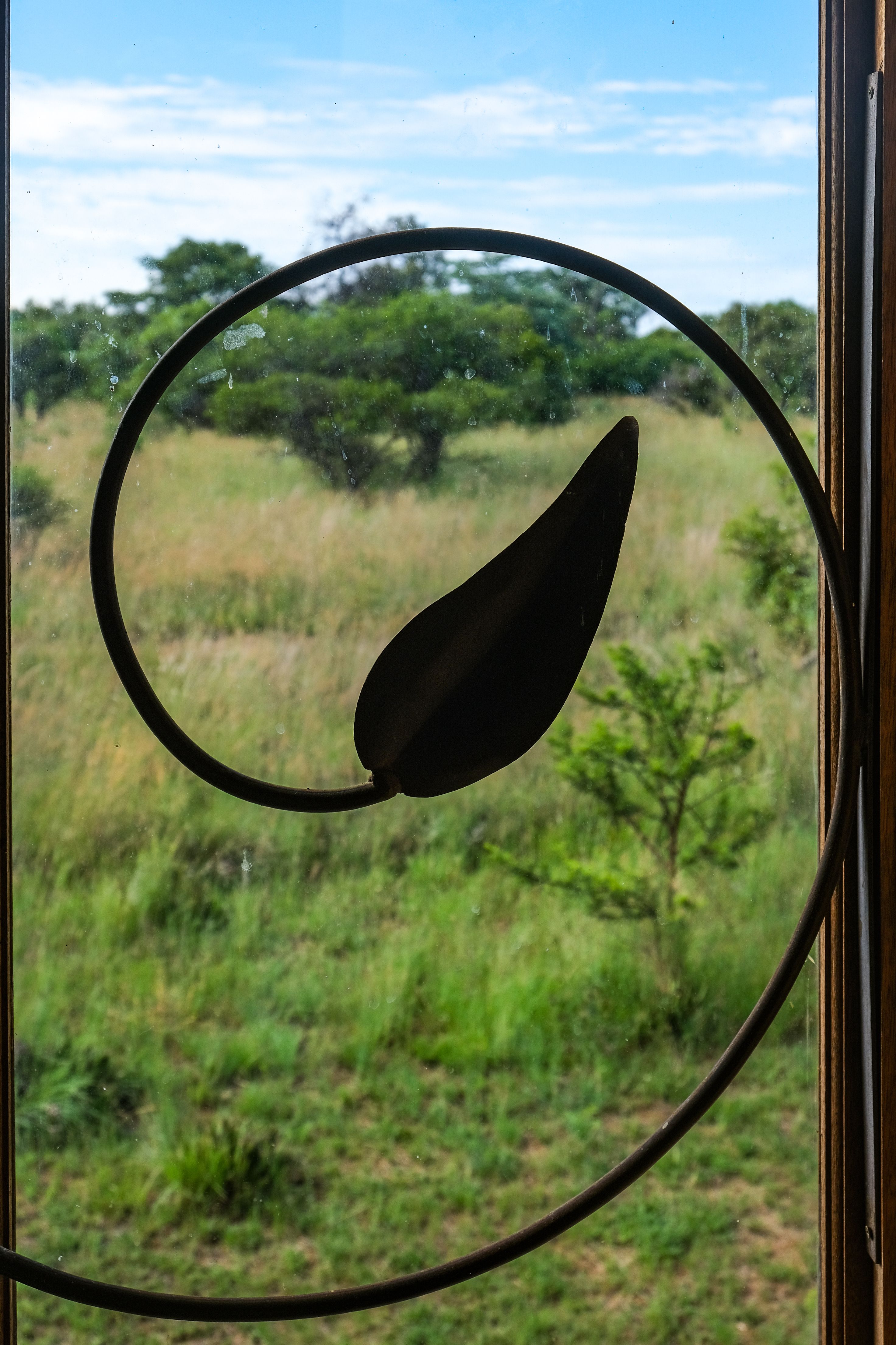 Window and Grass Field · Free Stock Photo