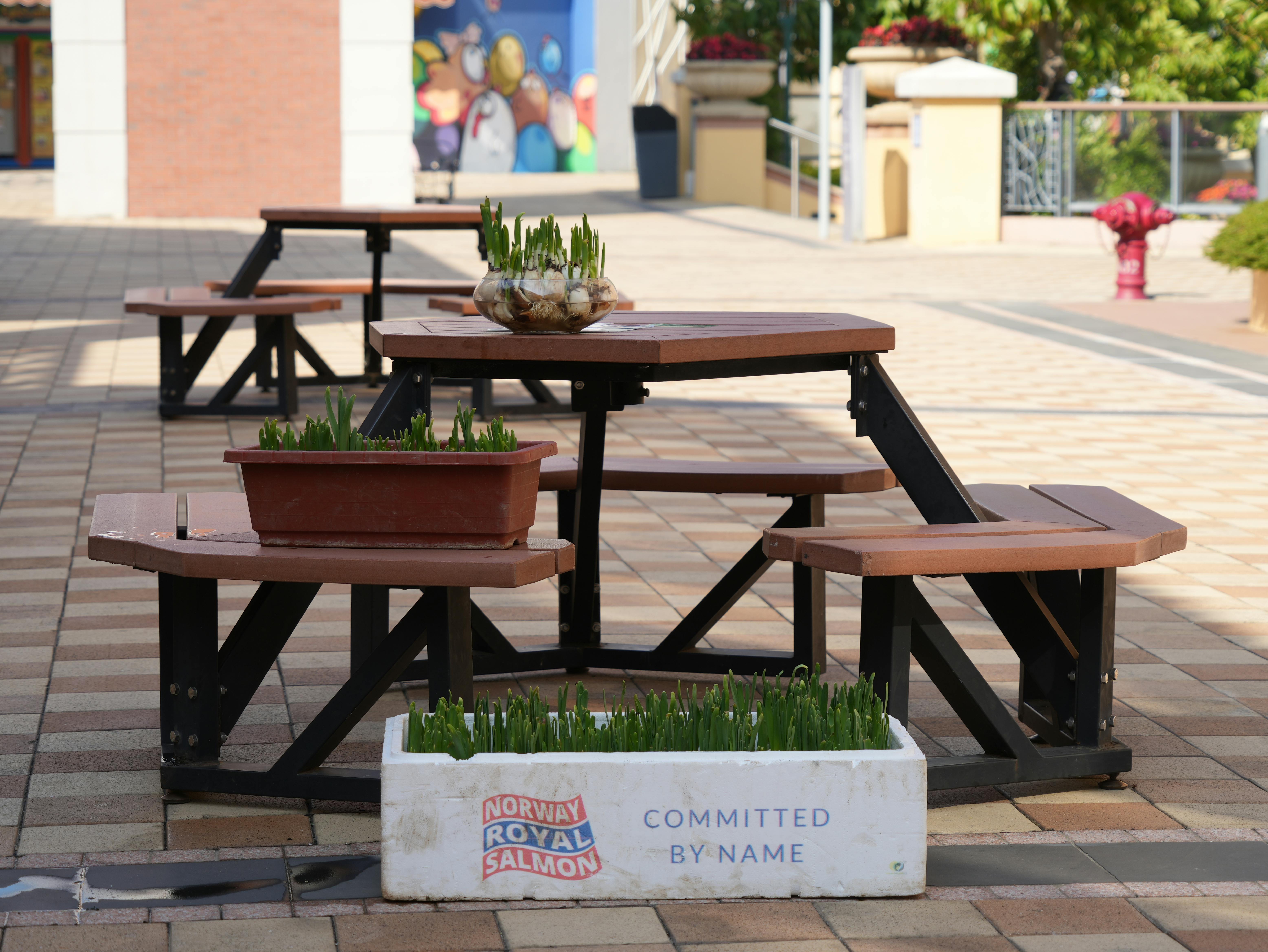 Picnics Tables In Parks Photos, Download The BEST Free Picnics Tables ...