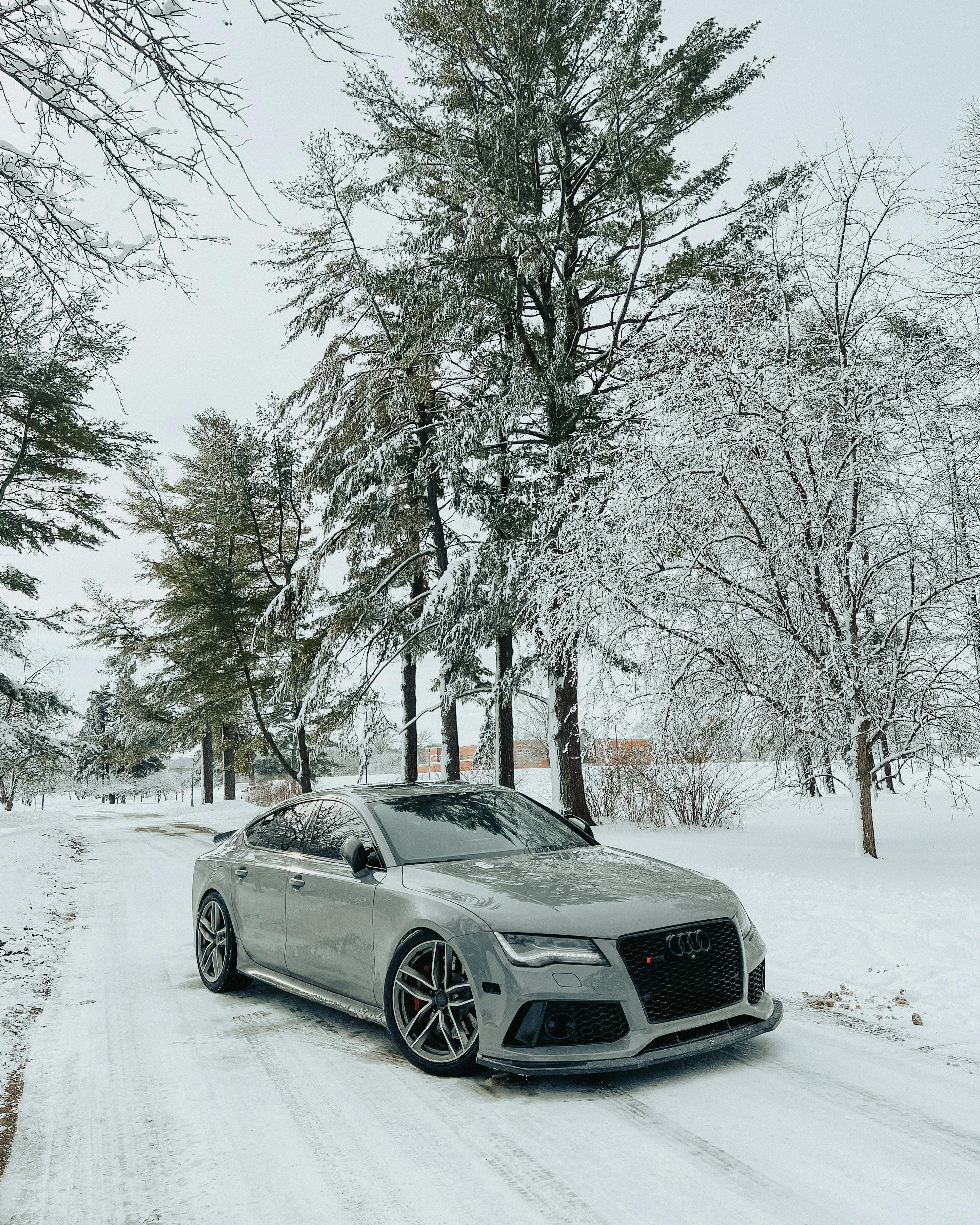 Audi In The Nature Photos, Download The BEST Free Audi In The Nature ...