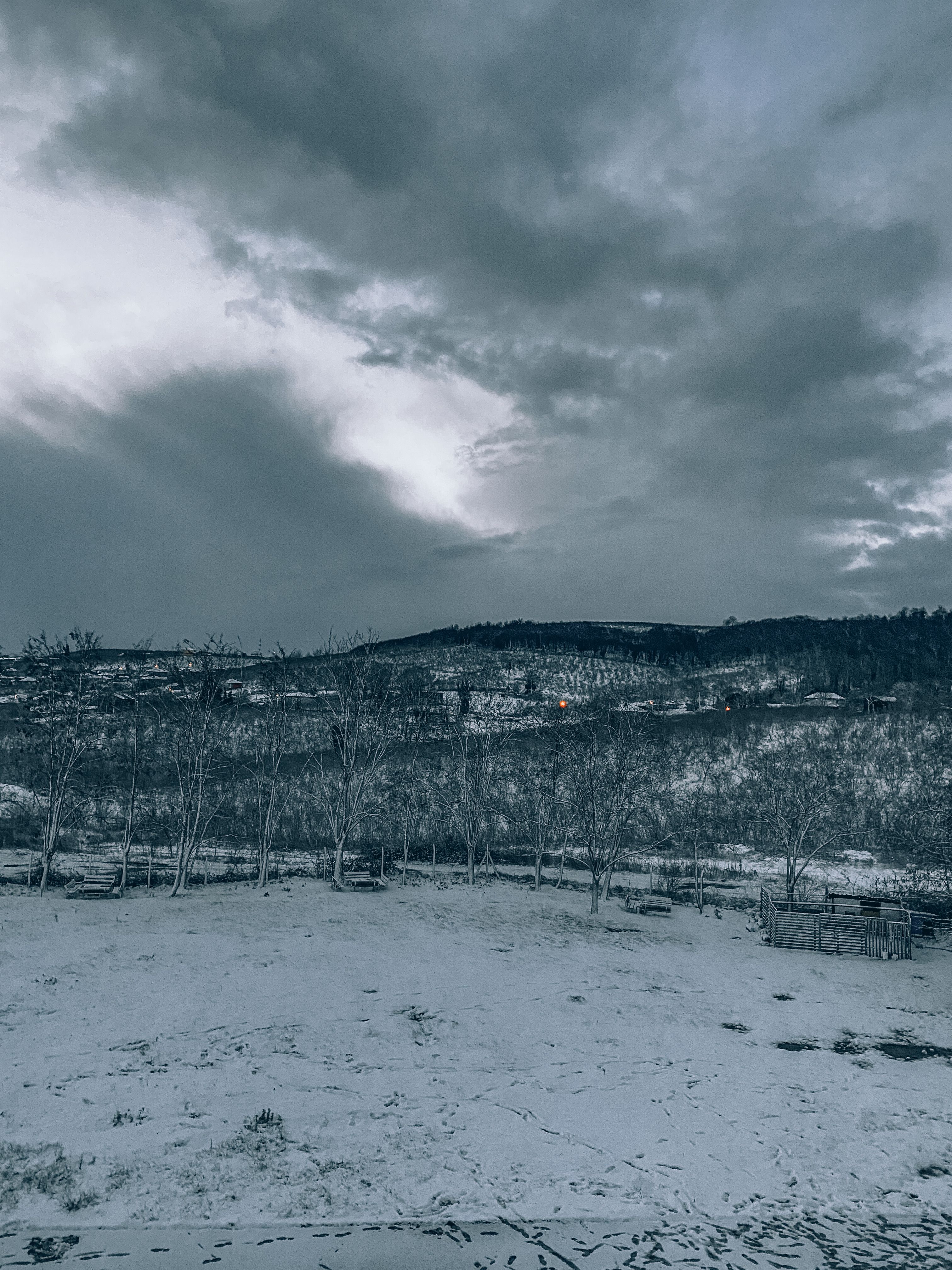 Snow Covered Field and Trees Under Cloudy Sky · Free Stock Photo