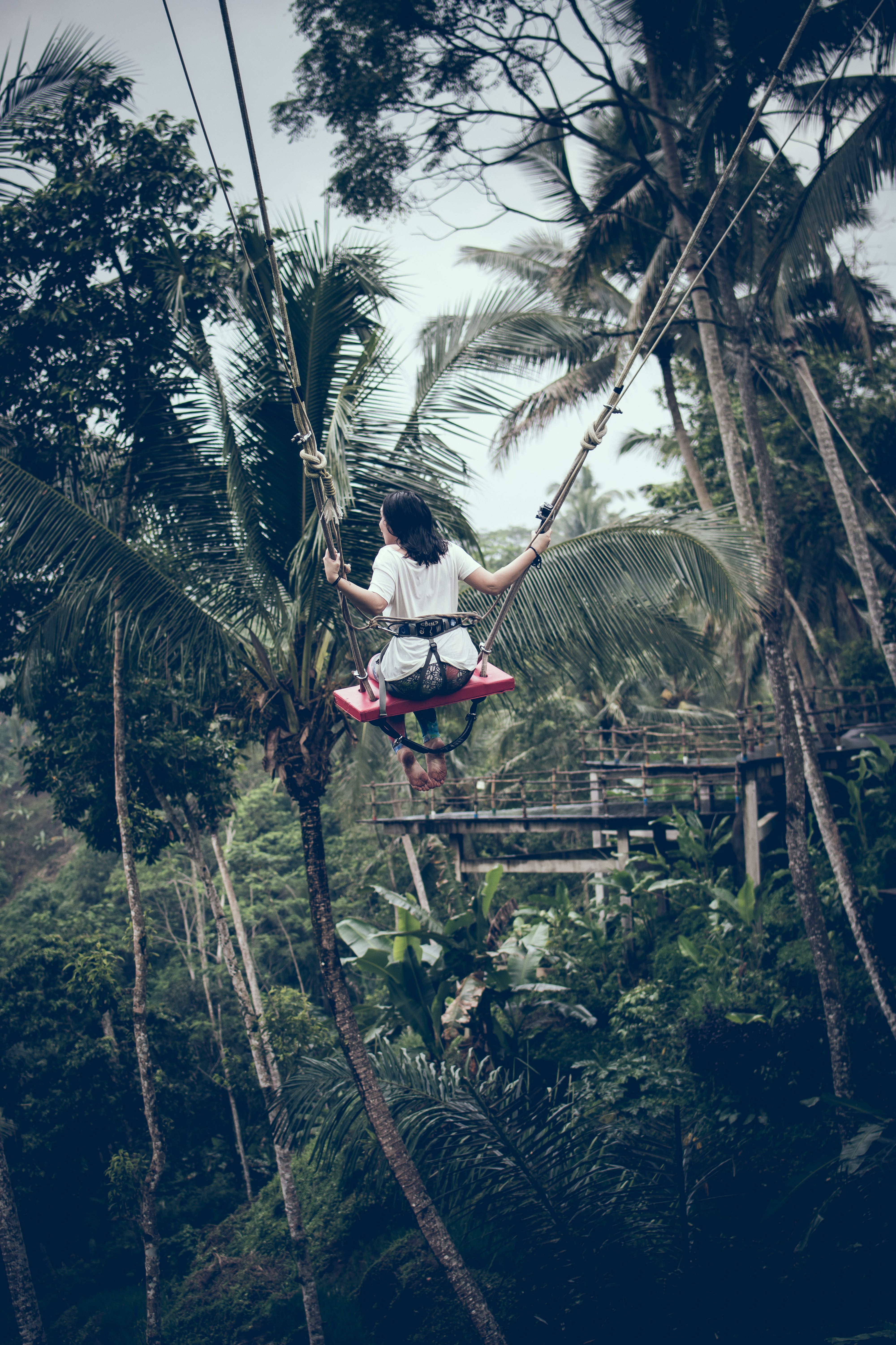 Woman Sitting on Swing Beside Tree · Free Stock Photo