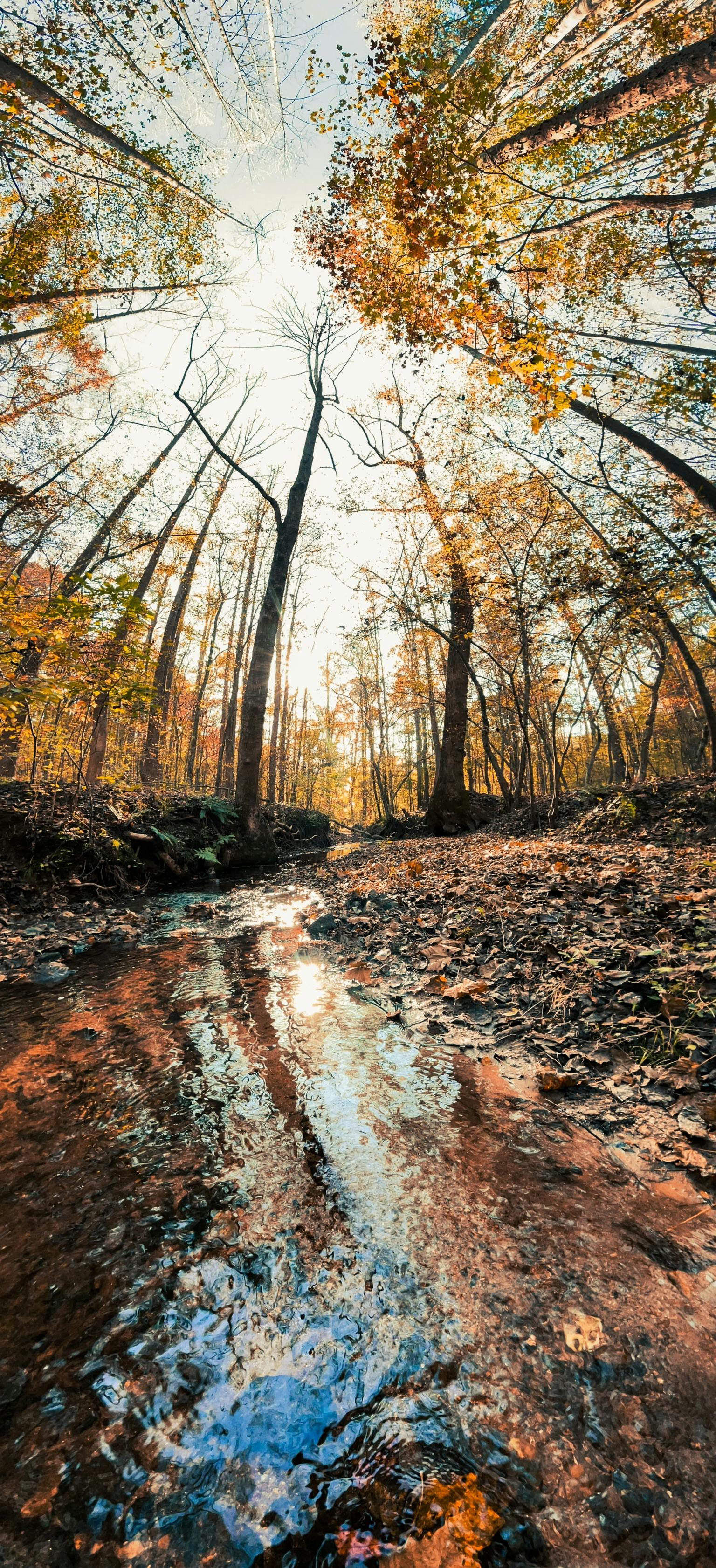 19,407+ Best Free Live stream Stock Photos & Images · 100% Royalty-Free ...