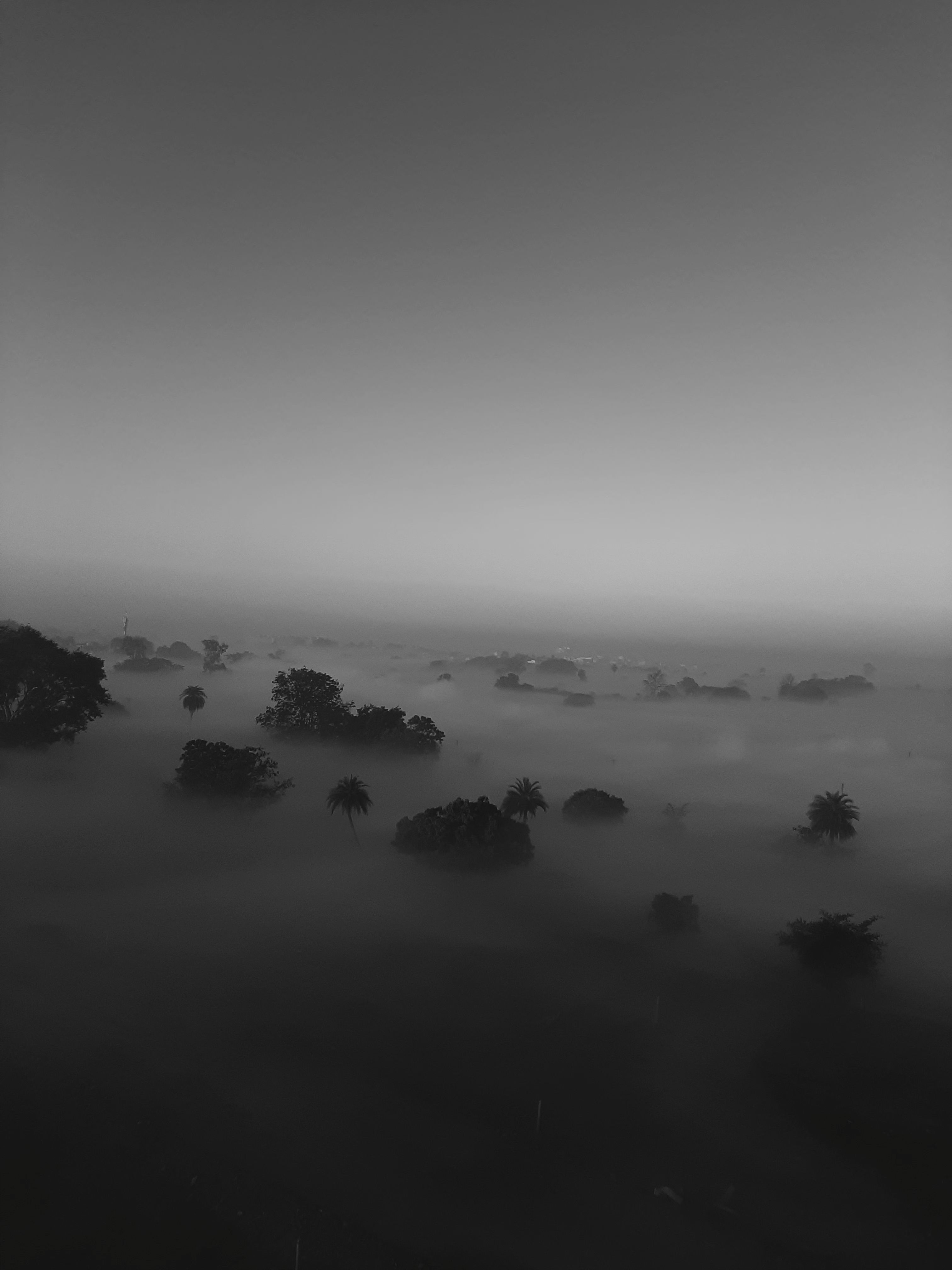 Grayscale Photo of Surface covered in Haze · Free Stock Photo