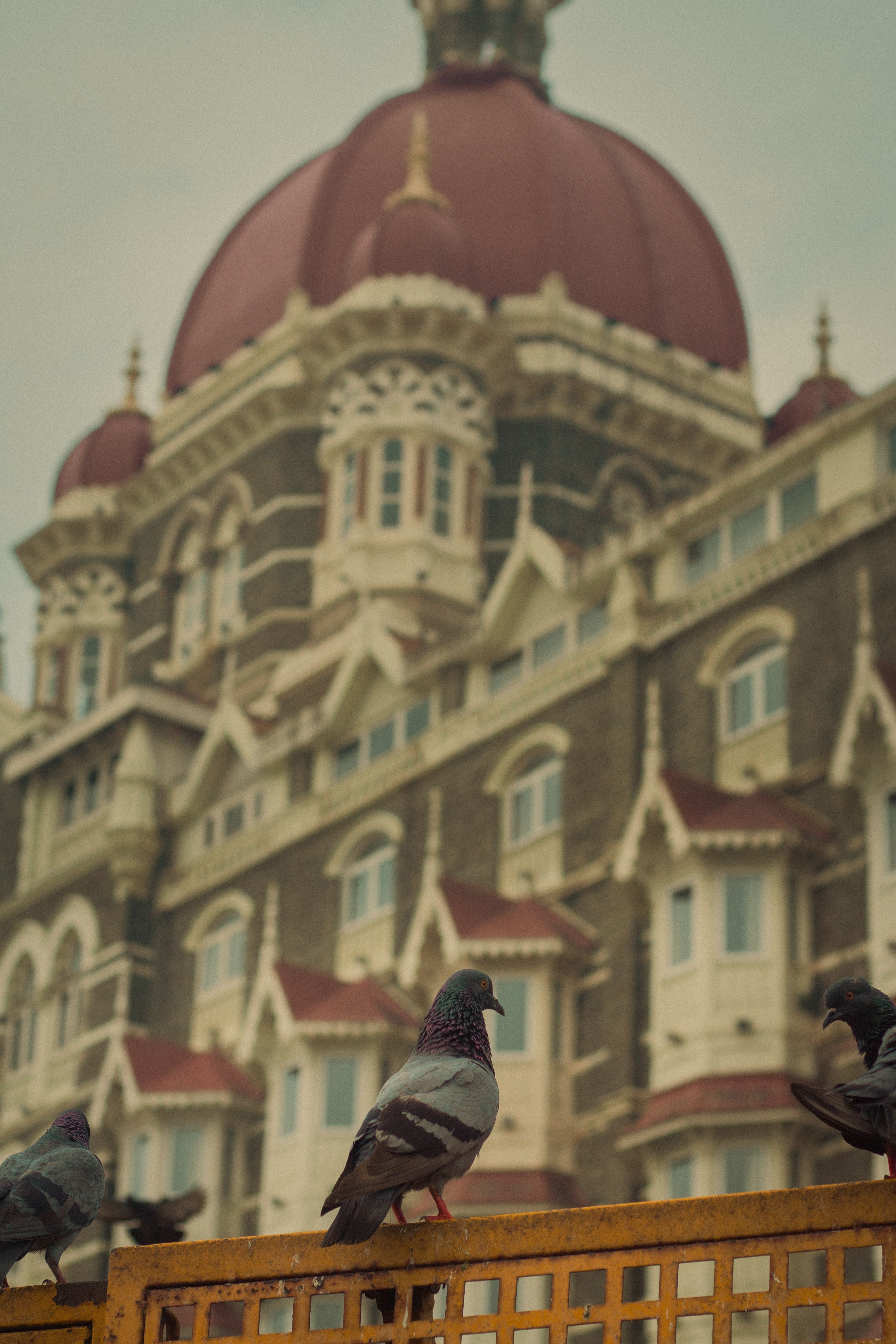 Photo of a Cathedral with Red Dome · Free Stock Photo