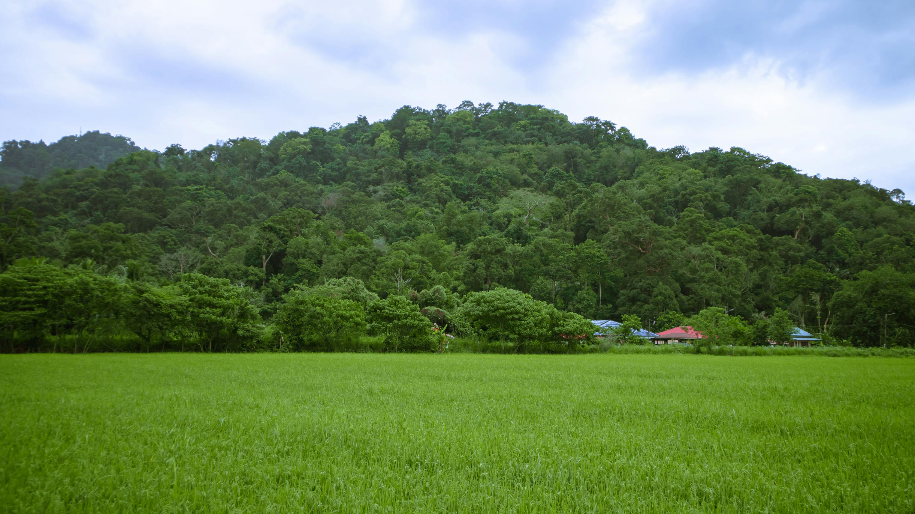 Teh Yu Song - 사진