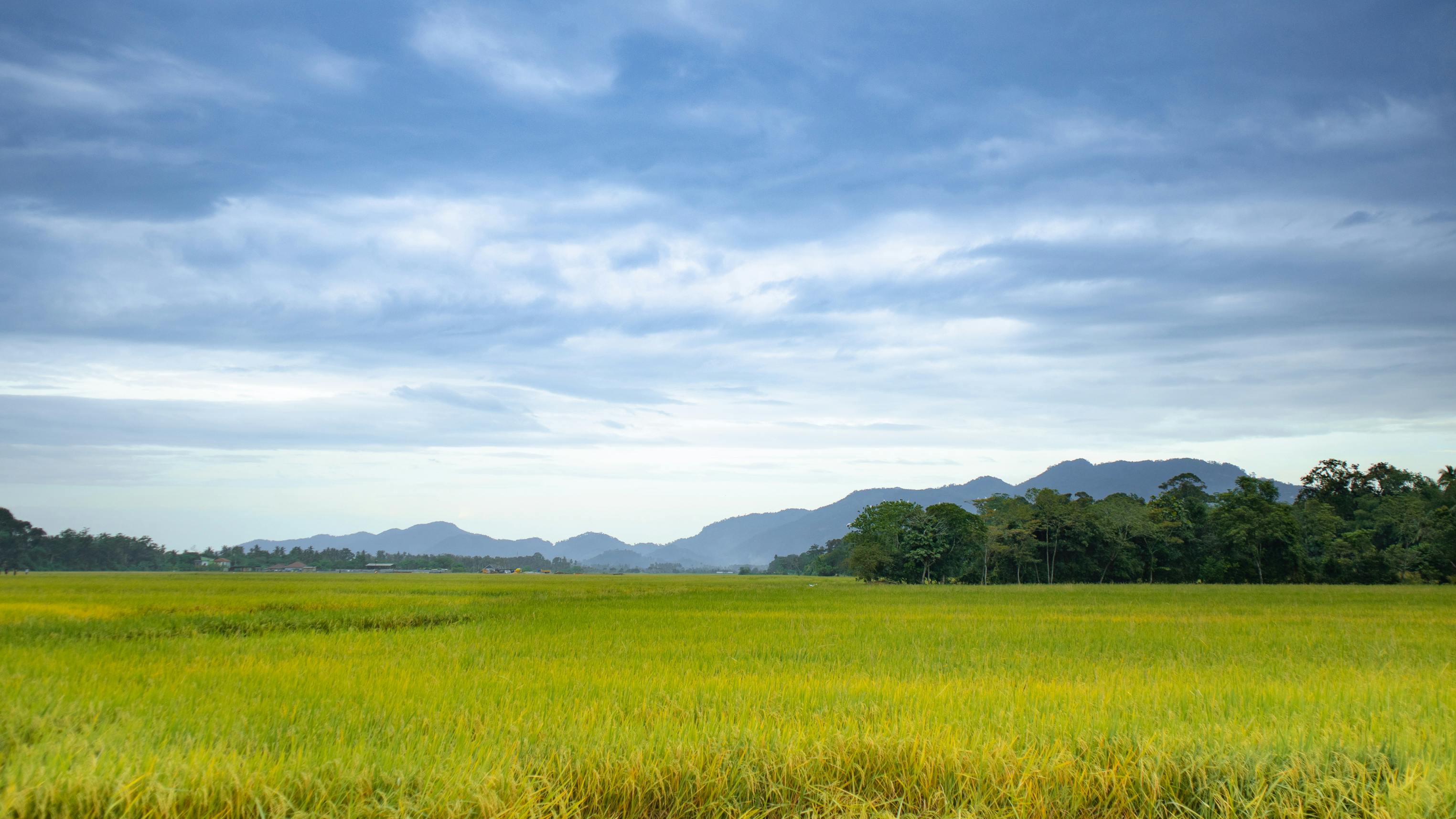 Teh Yu Song – Fotografia