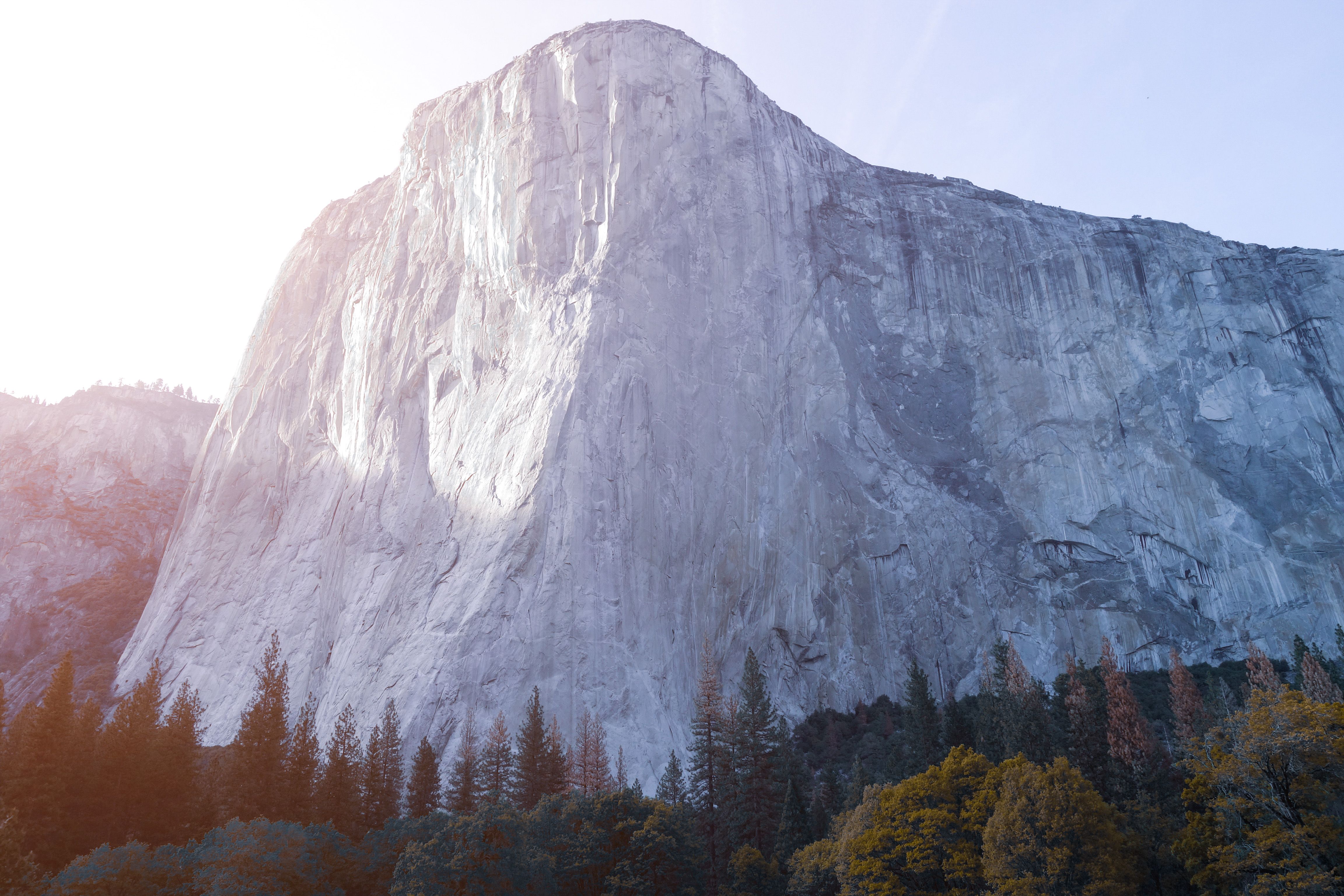 White Rock Formation surrounded with Trees · Free Stock Photo