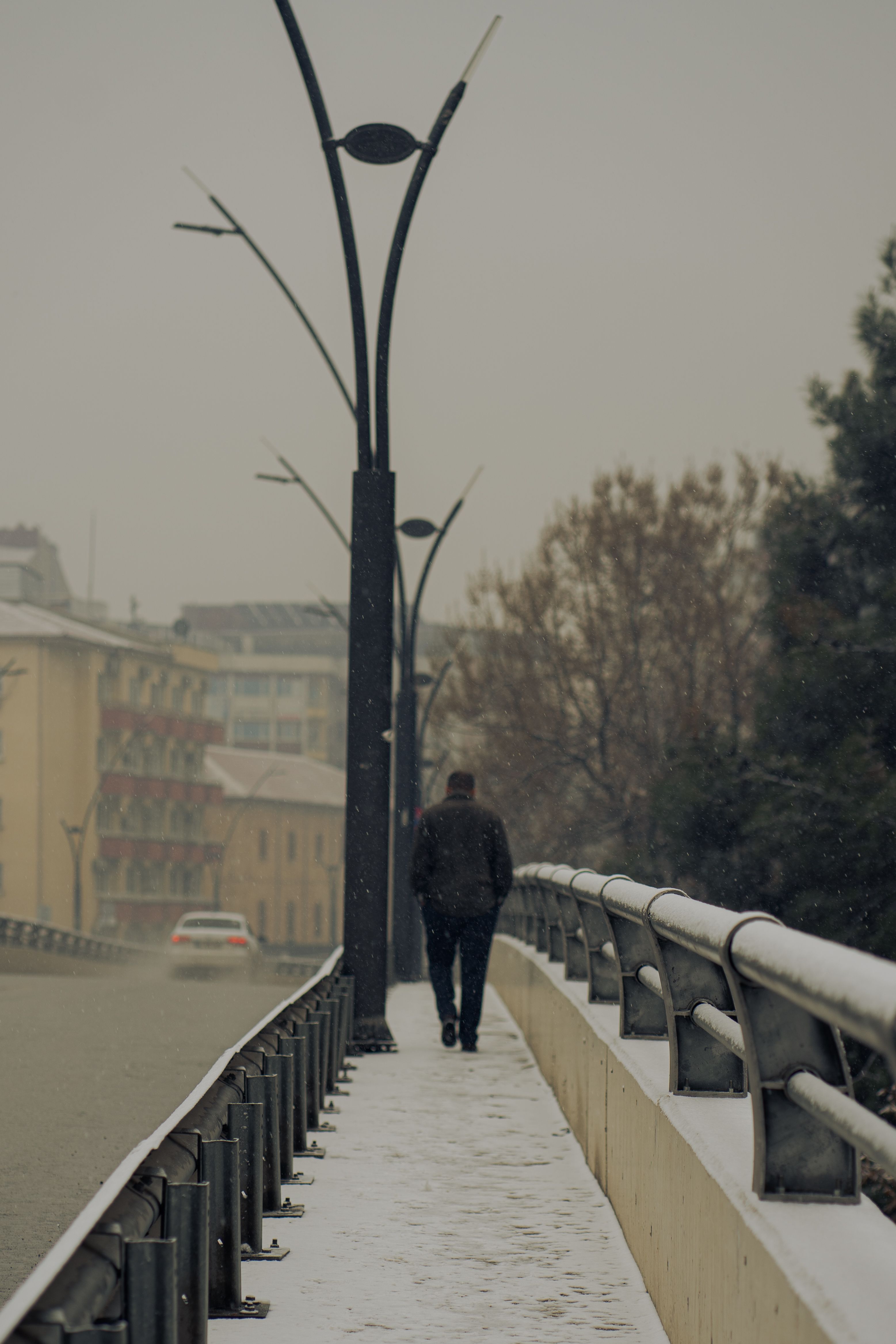 A Man Walking on the Asphalt Countryside Road · Free Stock Photo