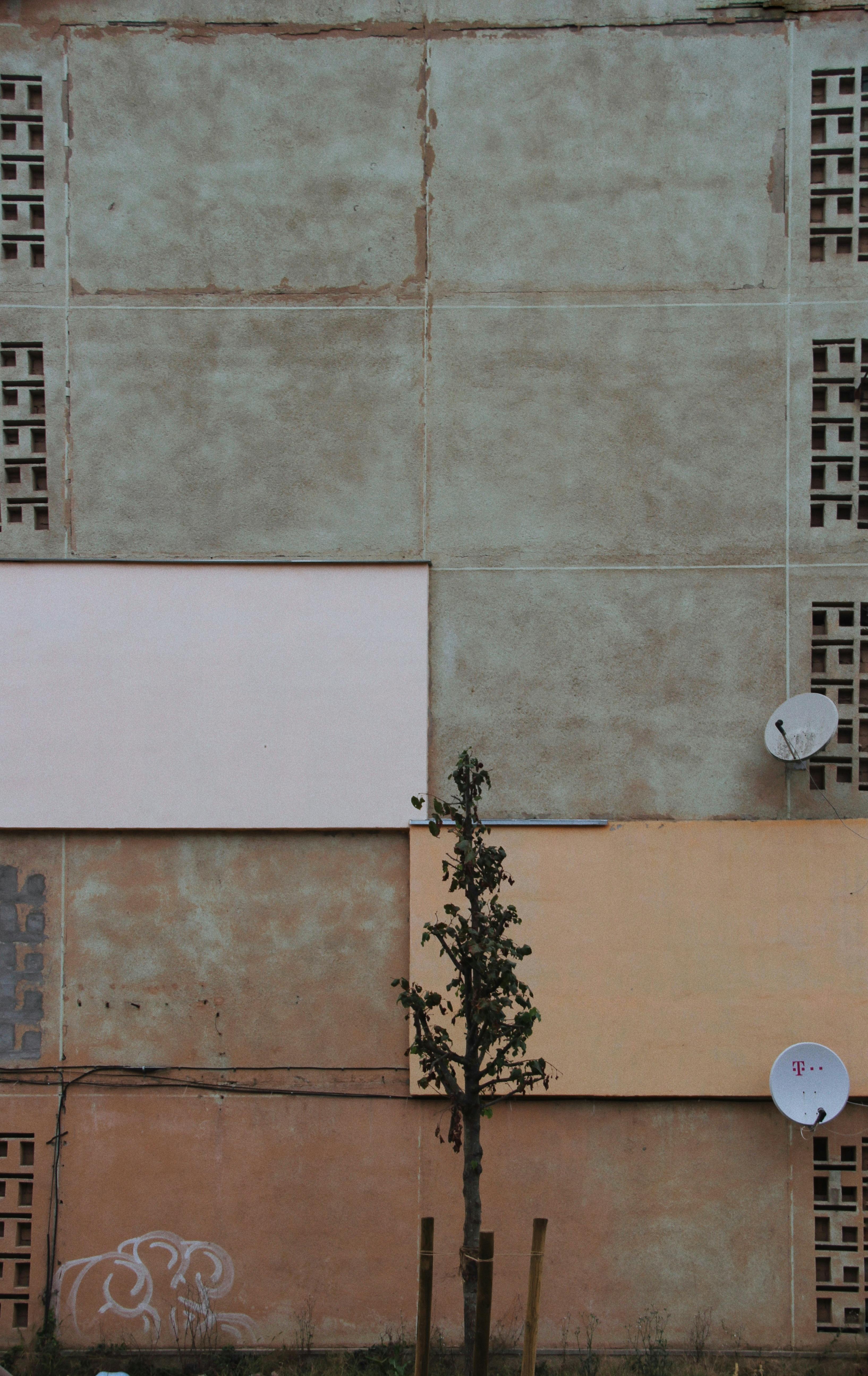 Vertical+Monitor+Wallpaper Photos, Download The BEST Free Vertical ...