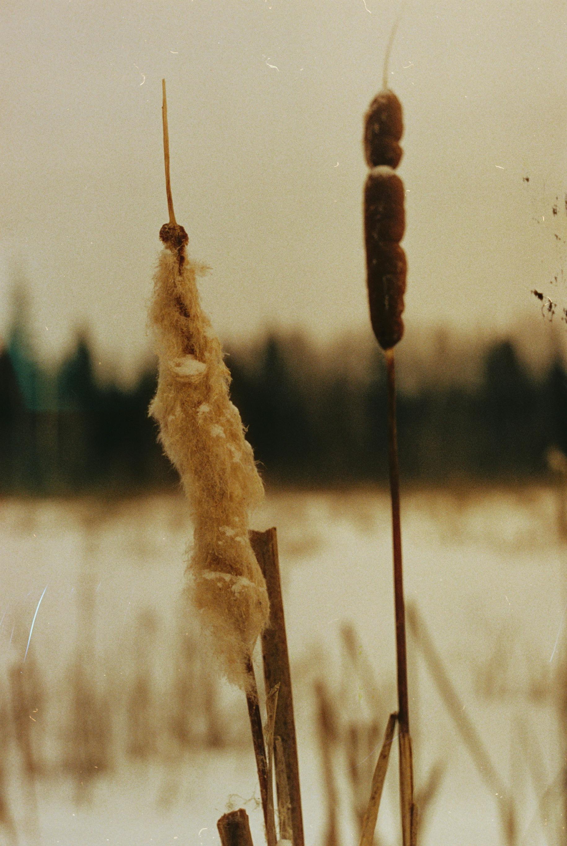 8mm Photos, Download The BEST Free 8mm Stock Photos & HD Images